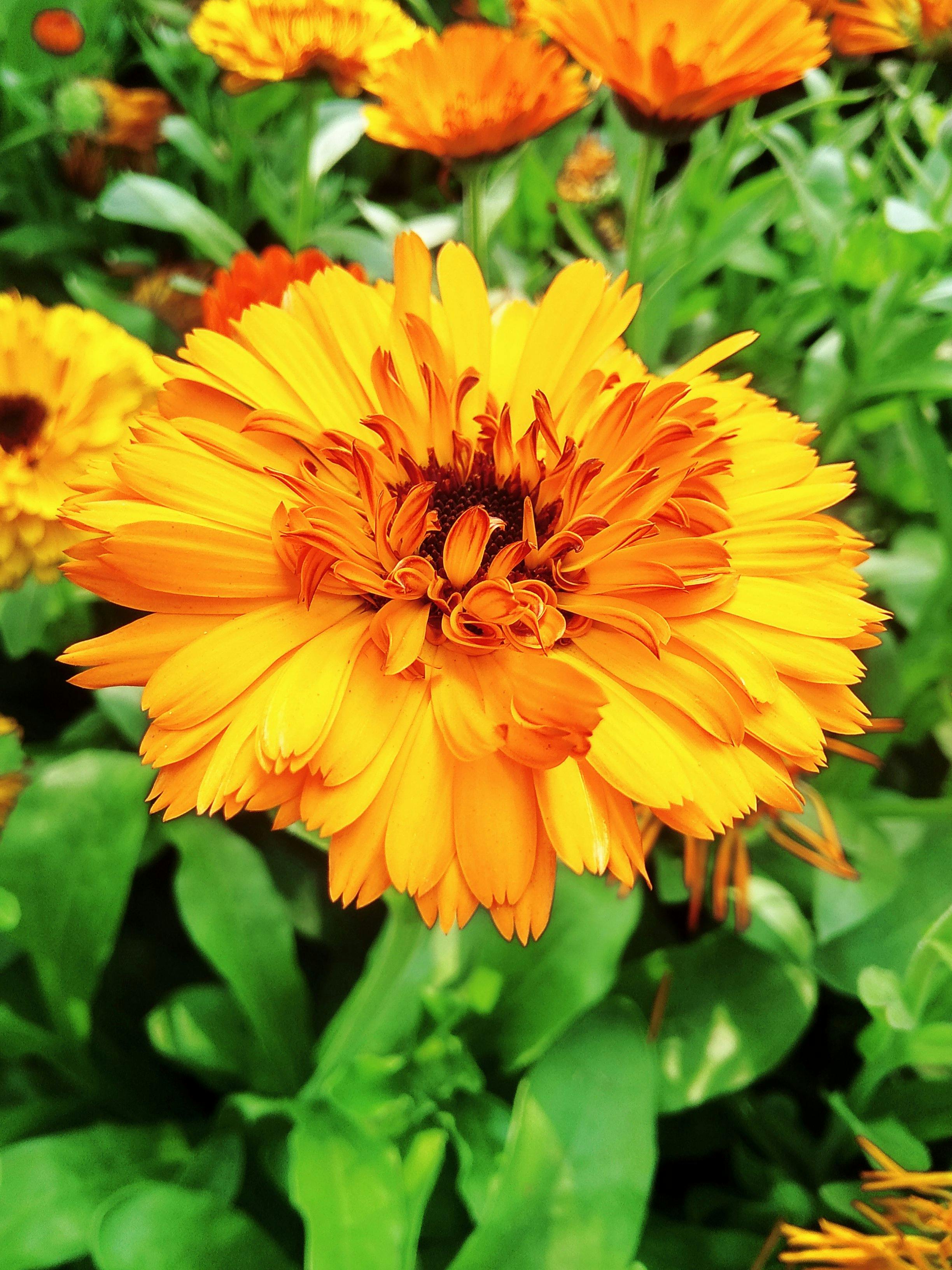 Politeness Leave Photos, Download The BEST Free Politeness Leave Stock ...