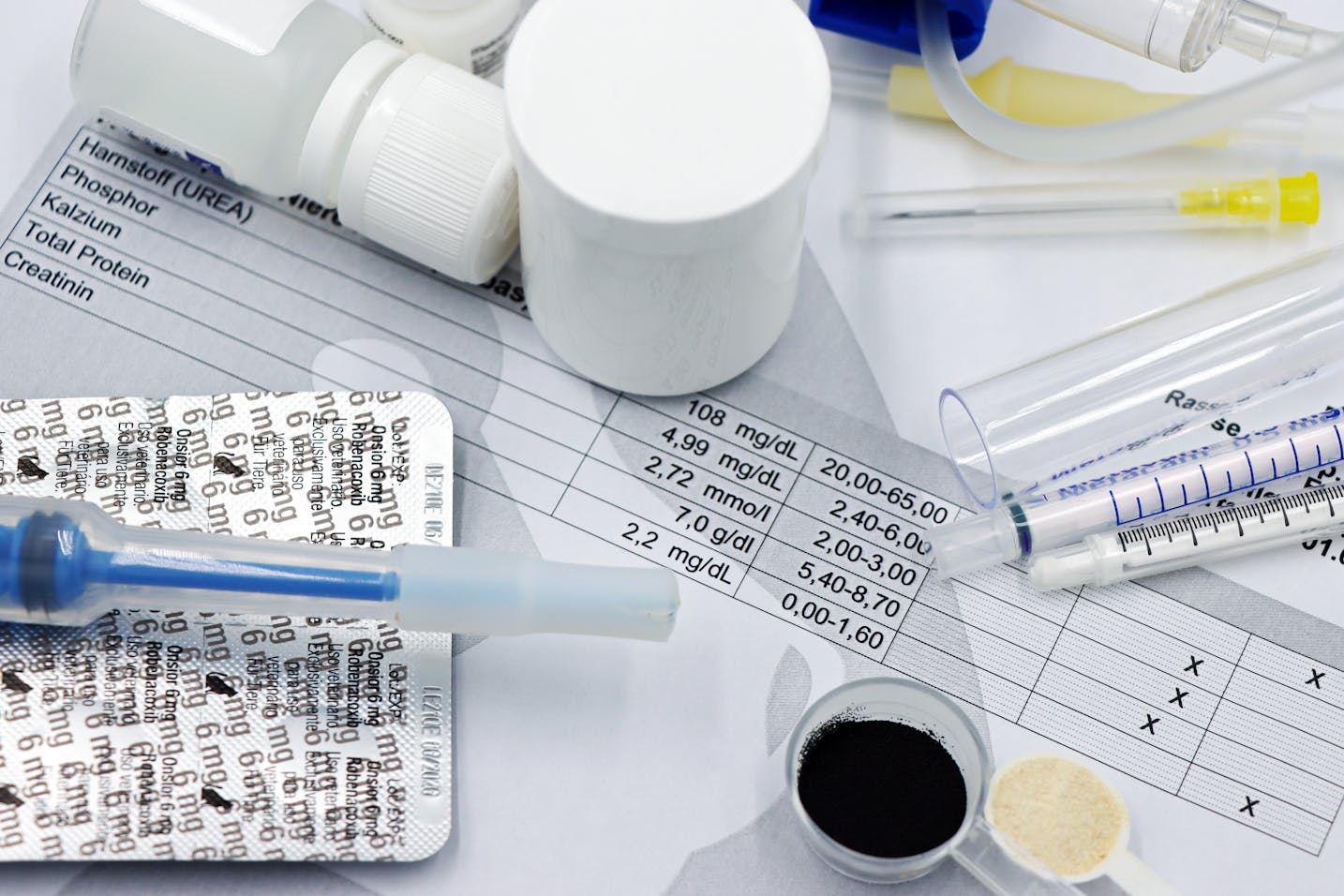 How Long Does Dog Blood Work Take and What to Expect