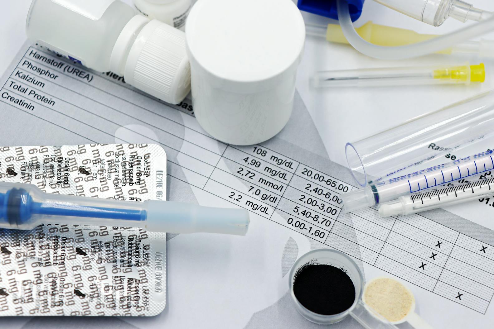 How Long Does Dog Blood Work Take and What to Expect