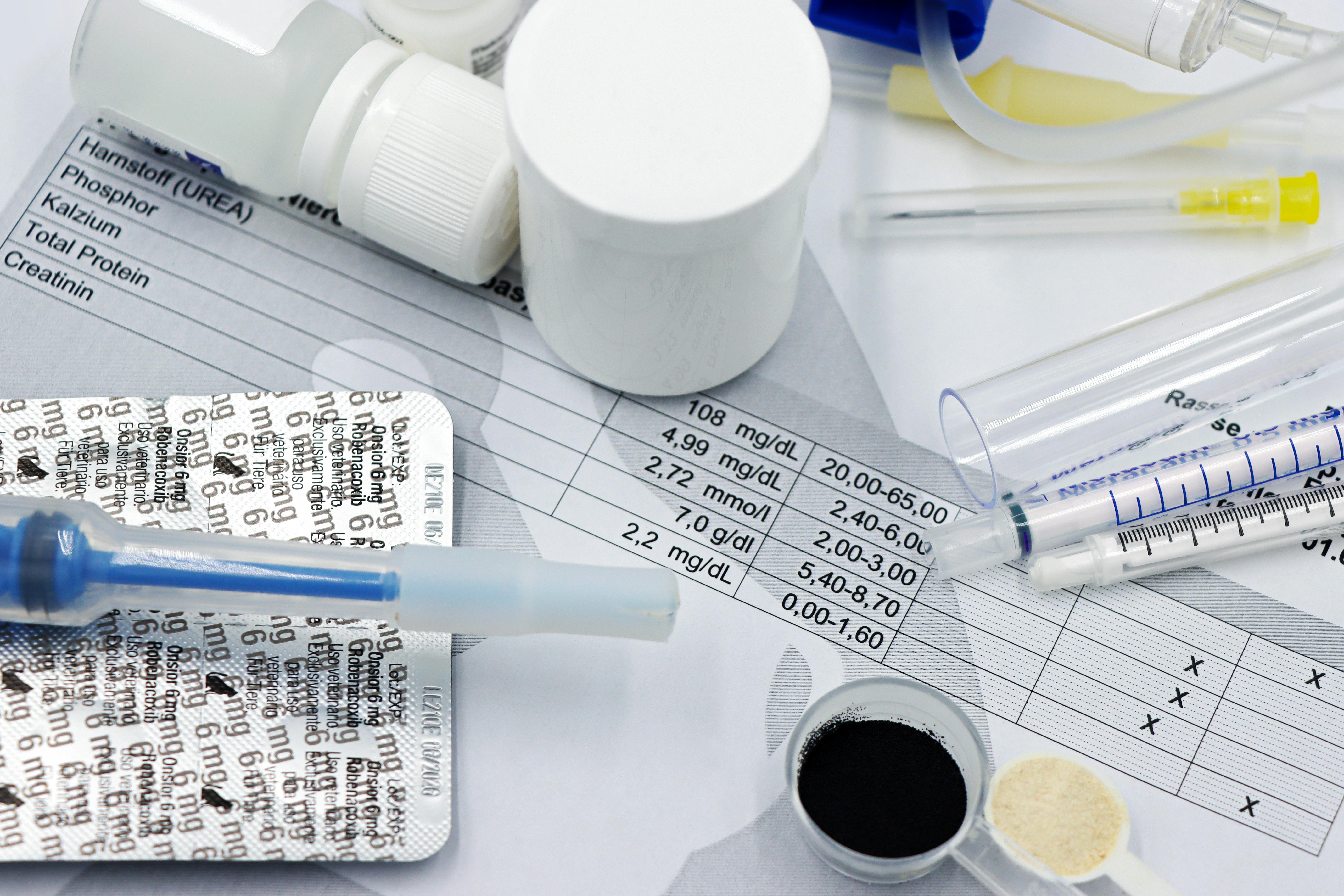 Perlengkapan Kedokteran Hewan Dengan Hasil Tes Darah · Foto Stok Gratis