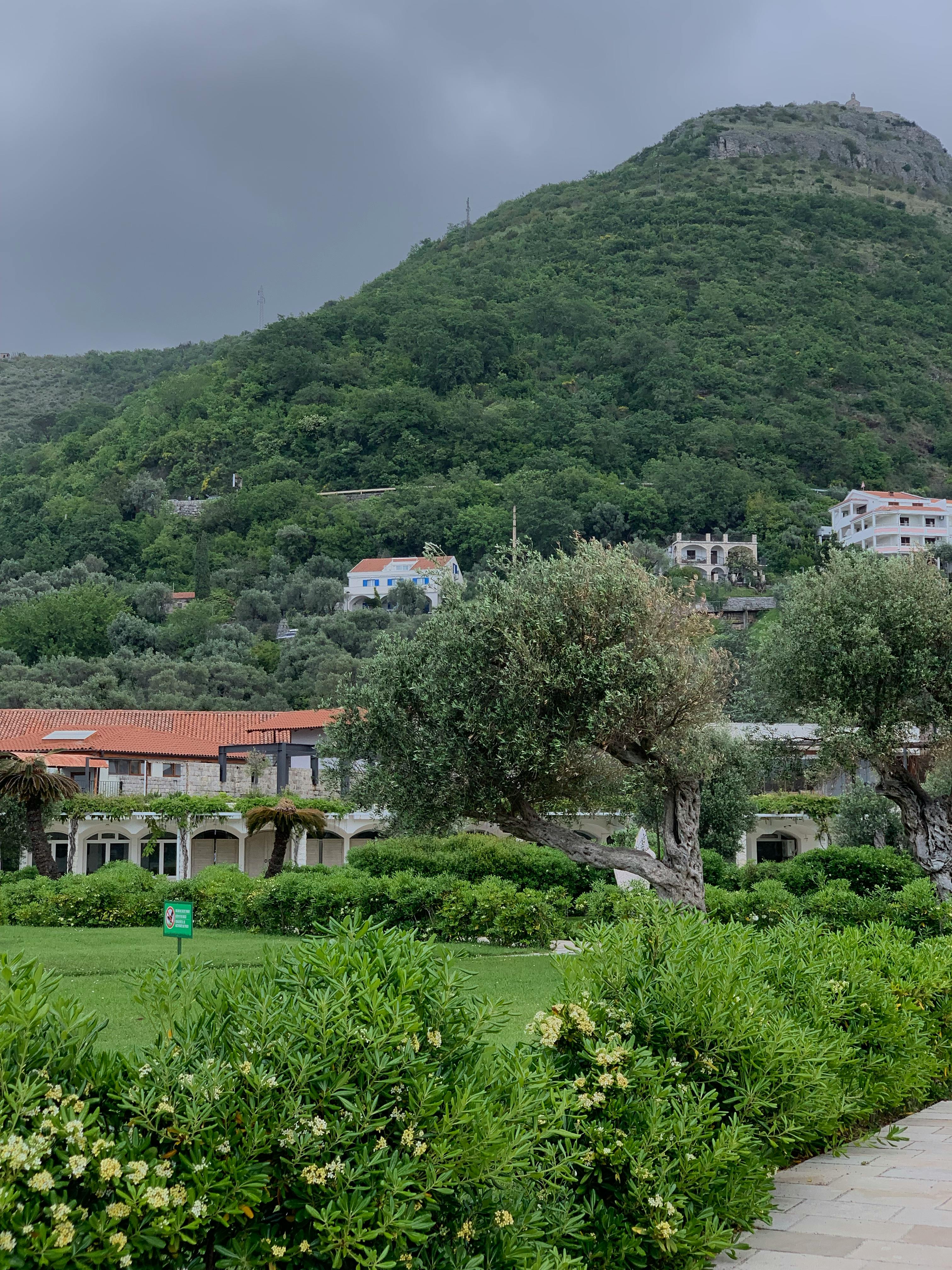 Scenic Hillside View with Greenery and Houses · Free Stock Photo