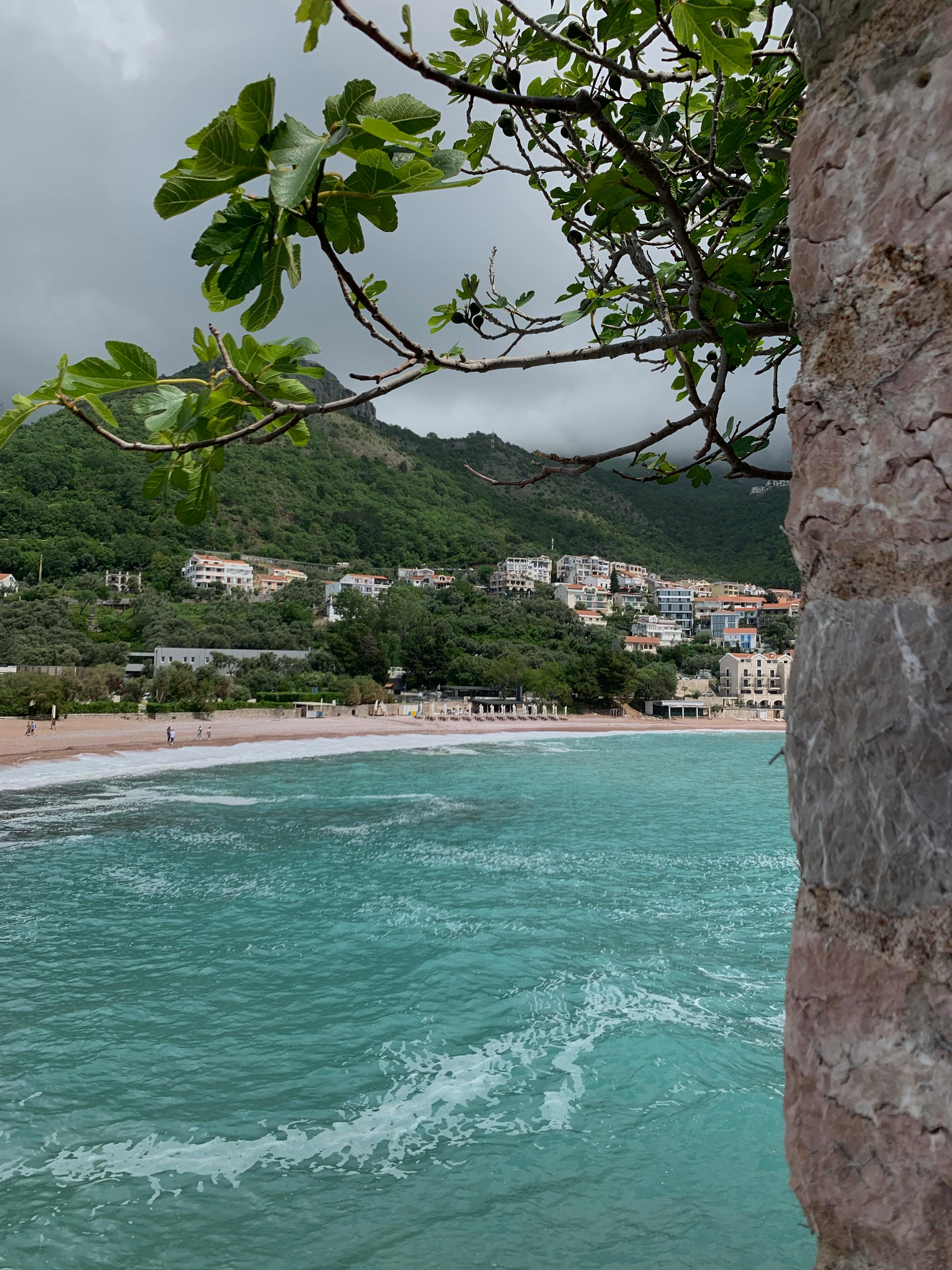 Clam Waves Photos, Download The BEST Free Clam Waves Stock Photos & HD ...