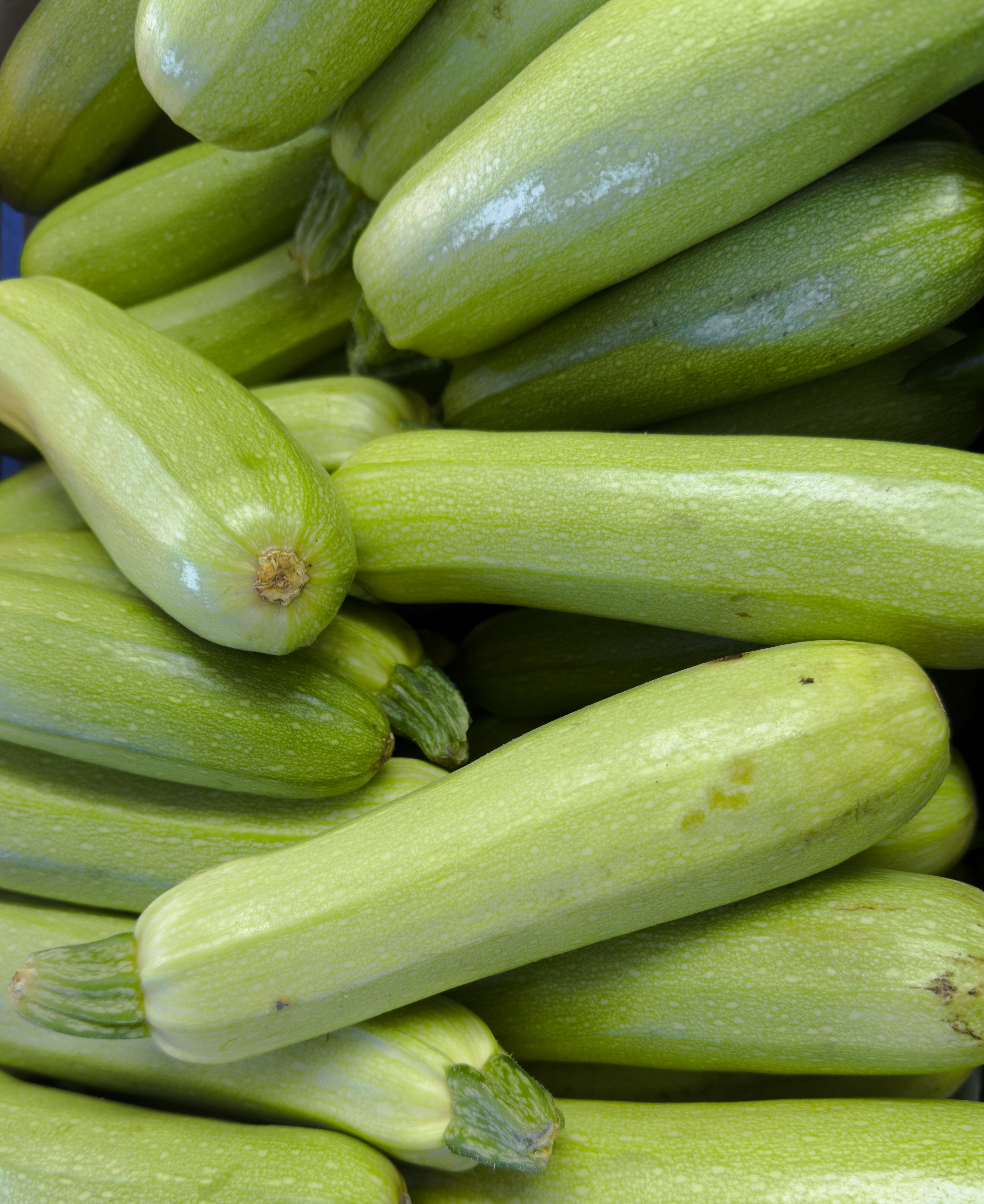 Fresh Green Zucchinis Close-Up at Market · Free Stock Photo