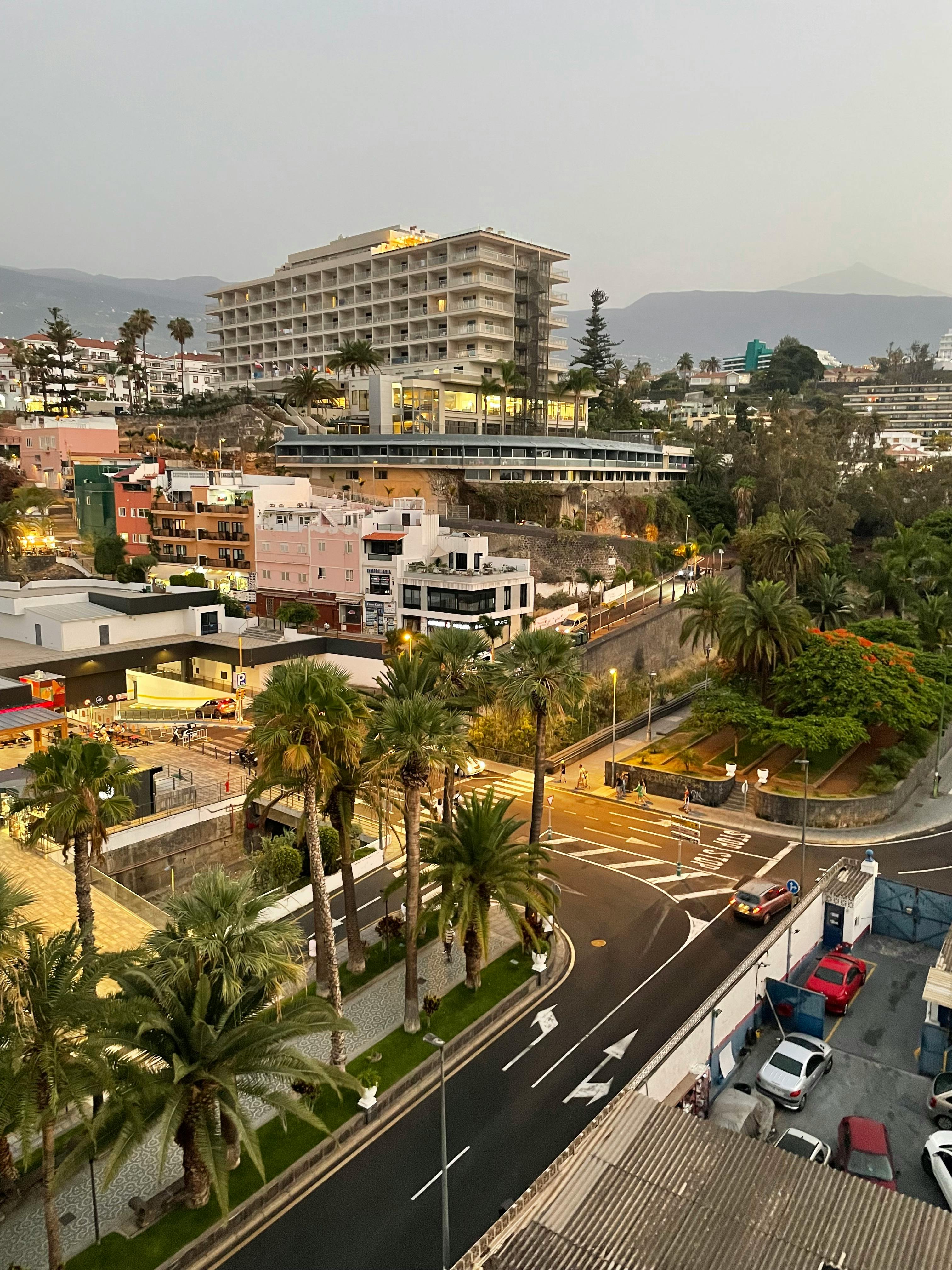 Southern Robber Photos, Download The BEST Free Southern Robber Stock ...