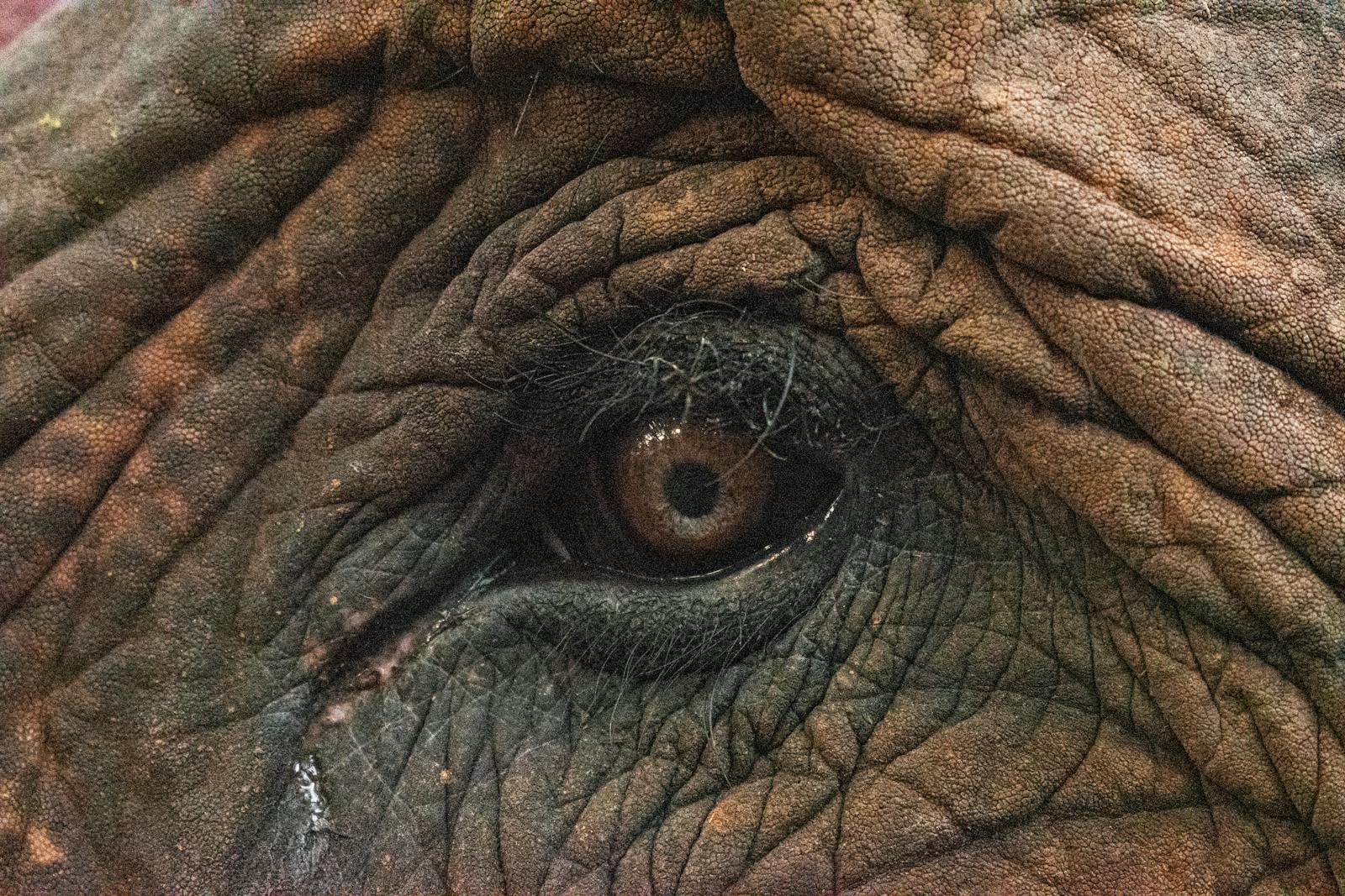 Close Up Texture Photos, Download The BEST Free Close Up Texture Stock ...