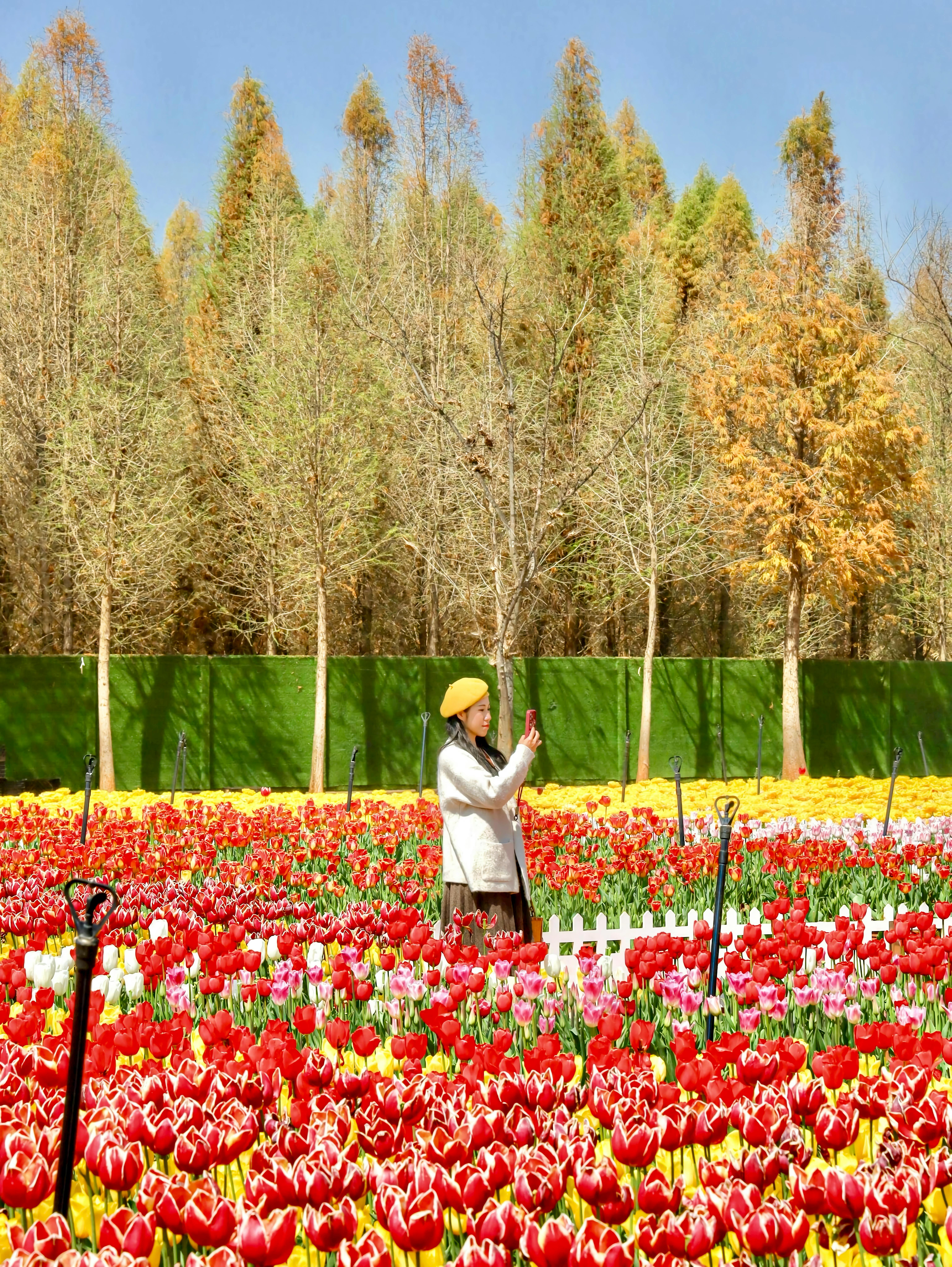 Air Plaim Field Photos, Download The BEST Free Air Plaim Field Stock ...