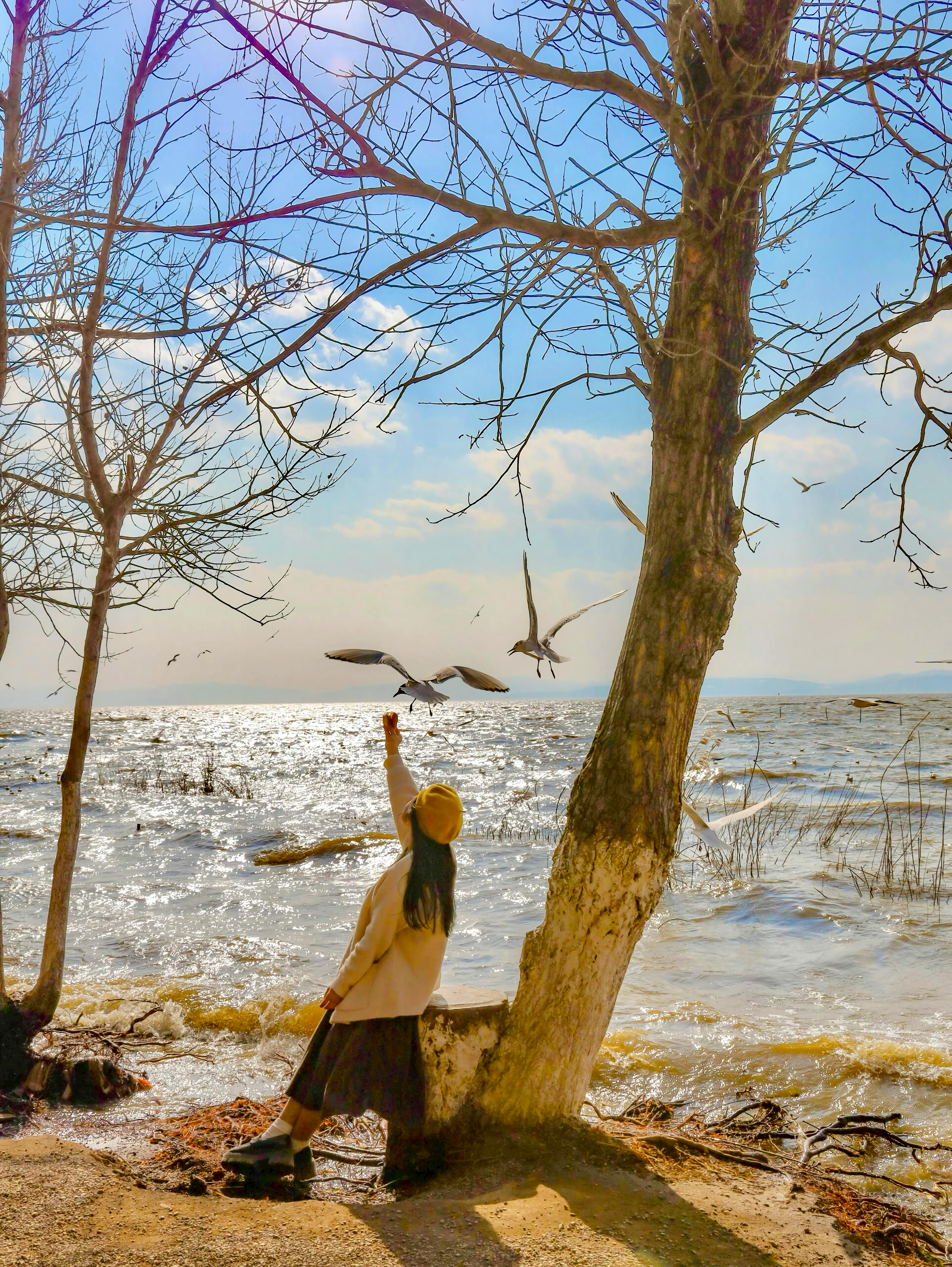 Free Sun Photos, Download The BEST Free Free Sun Stock Photos & HD Images