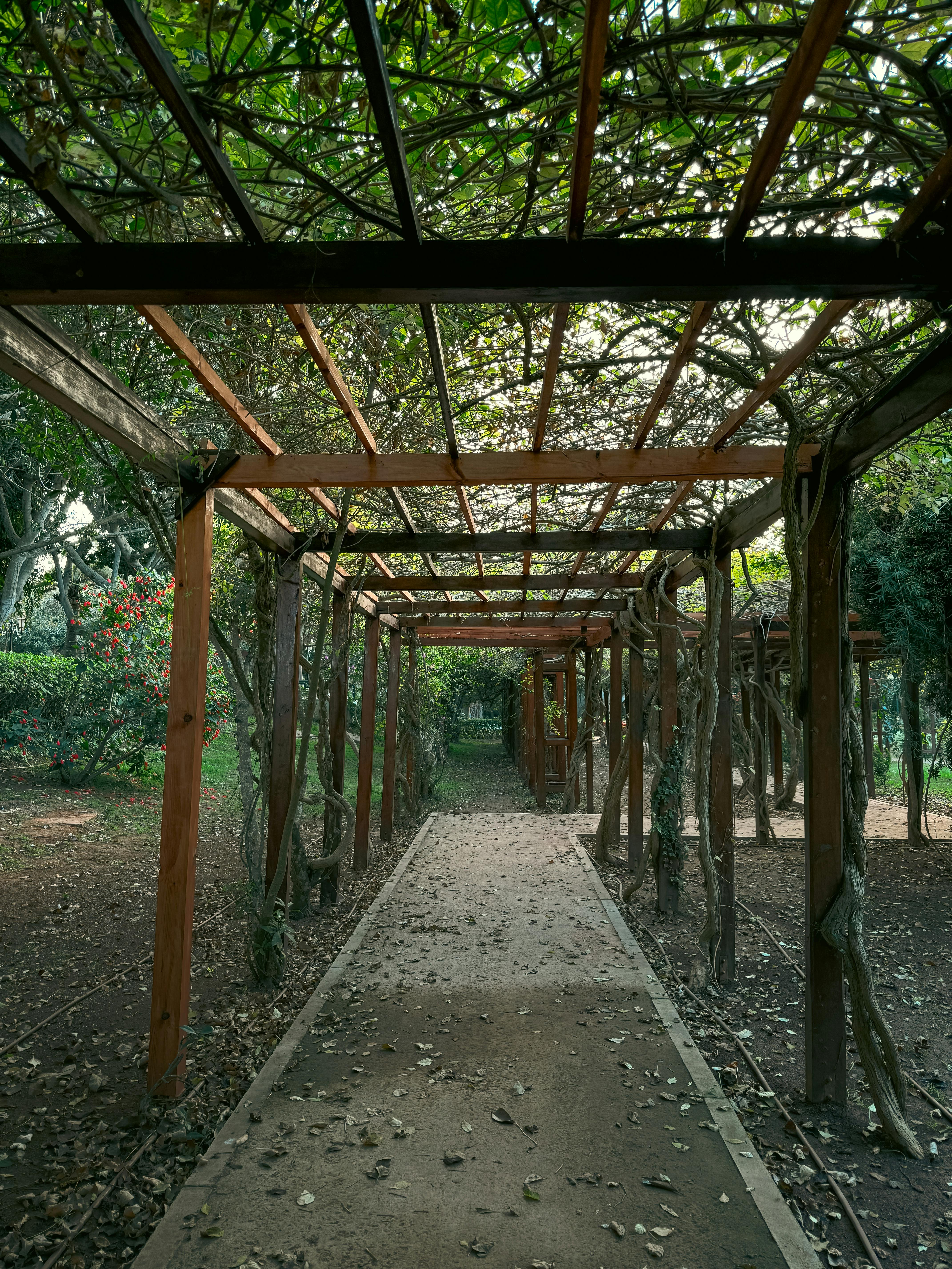 Tranquil Wooden Arbor in Lush Garden Pathway · Free Stock Photo