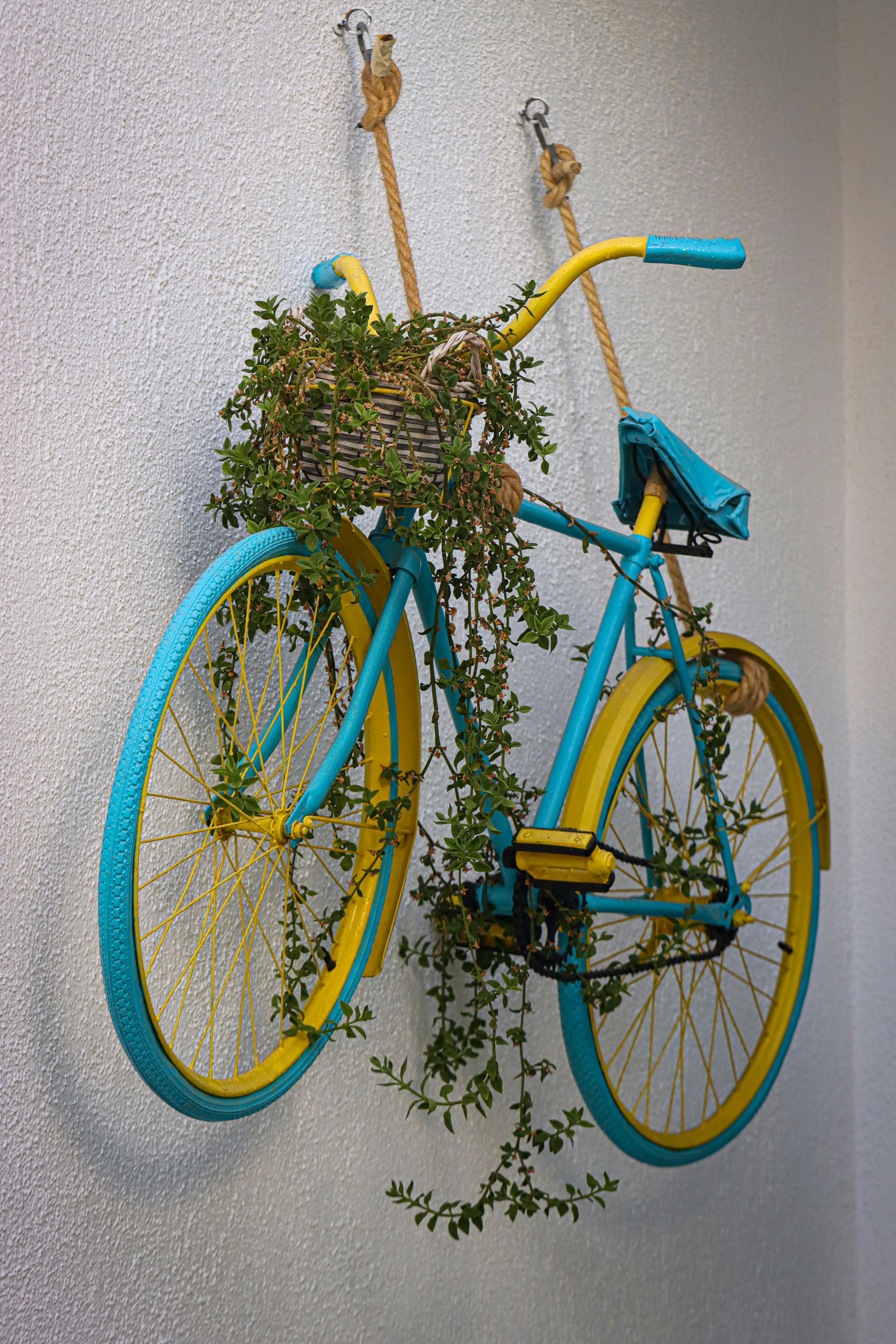 Artistic Bicycle Decor with Greenery in Naxos · Free Stock Photo