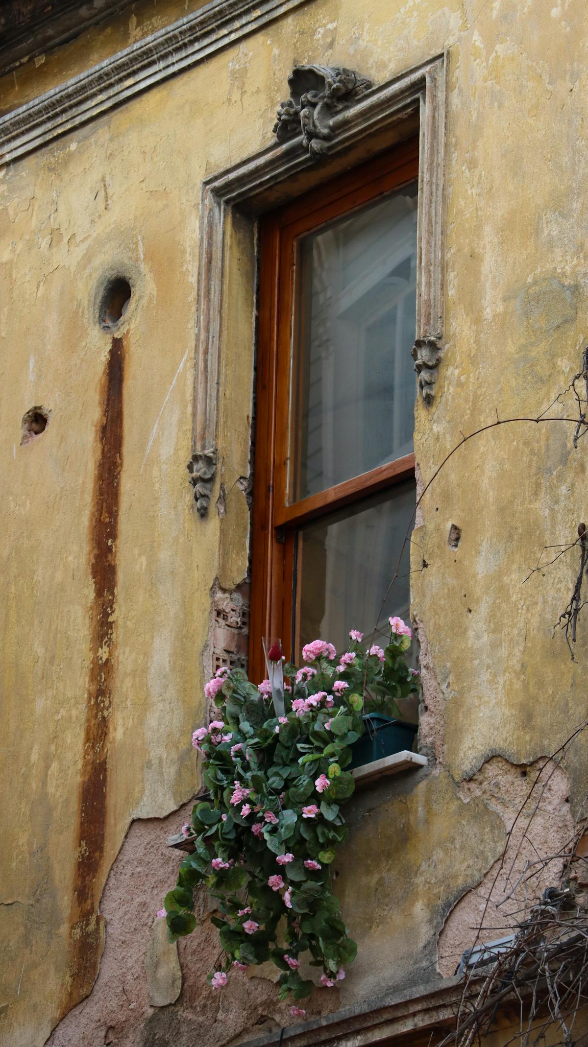 Old Window Photos, Download The BEST Free Old Window Stock Photos & HD ...
