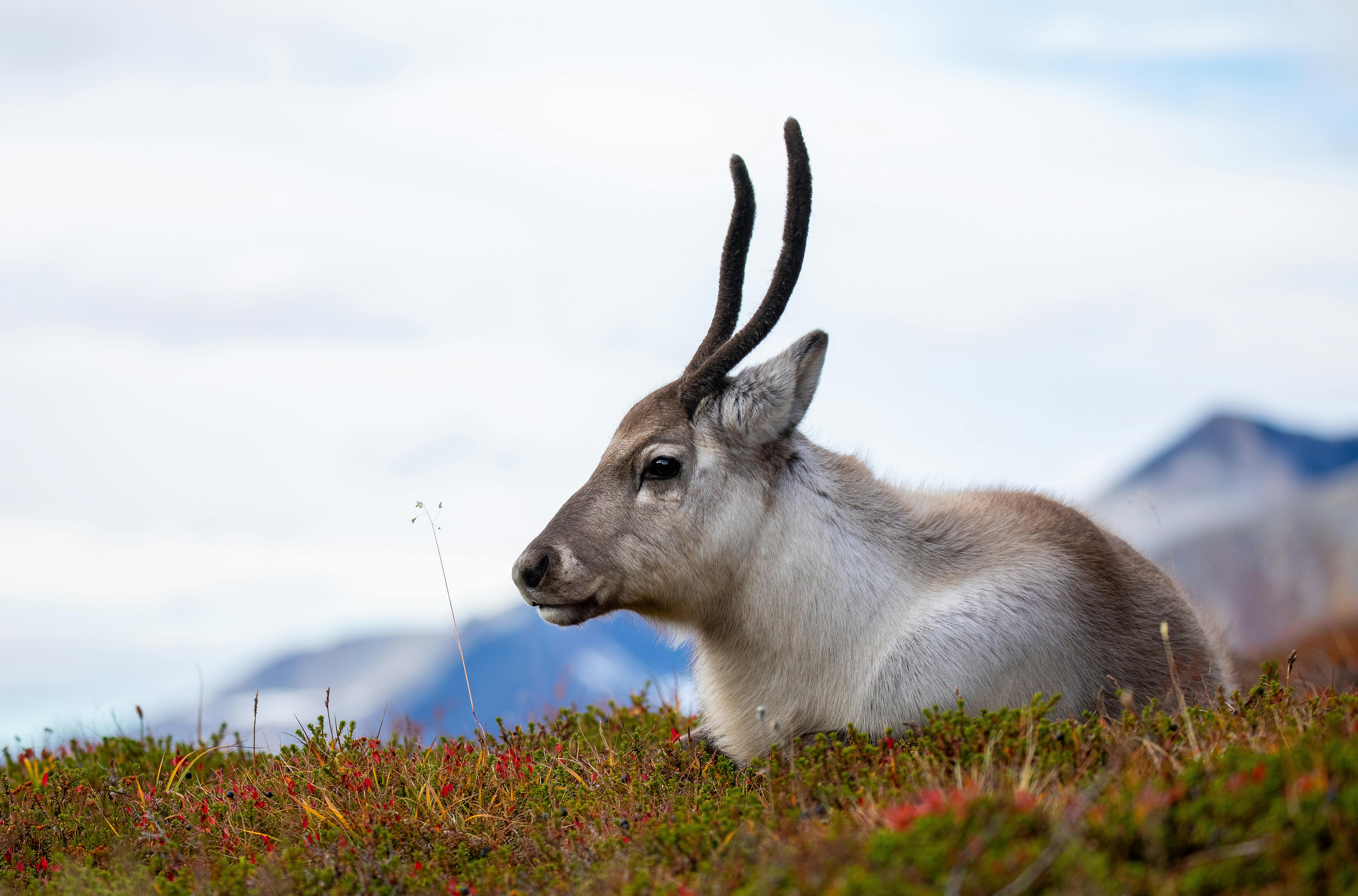 Lumen Biology Photos, Download The BEST Free Lumen Biology Stock Photos ...