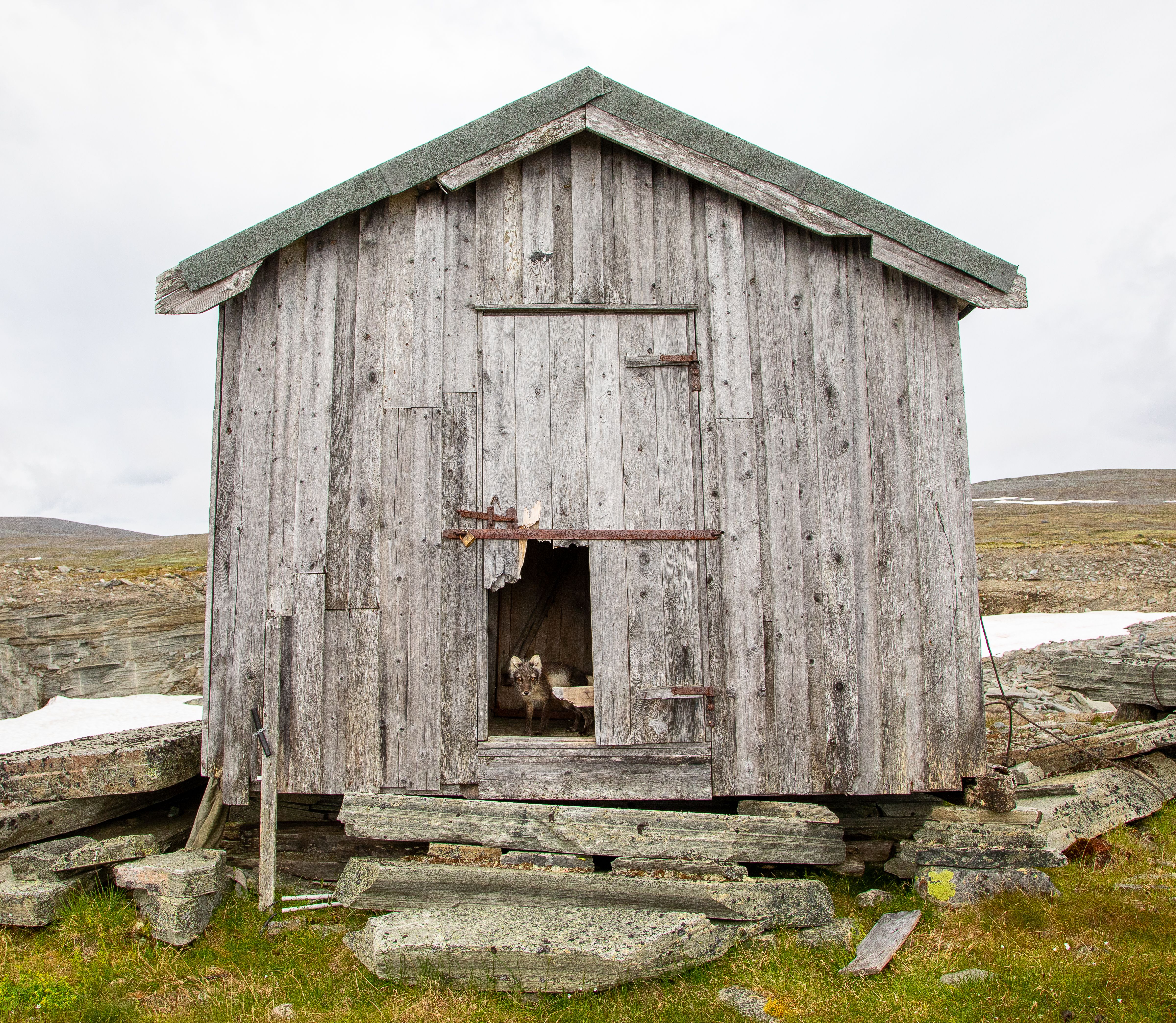 Rustic Wooden Cabin in Remote Countryside Landscape · Free Stock Photo