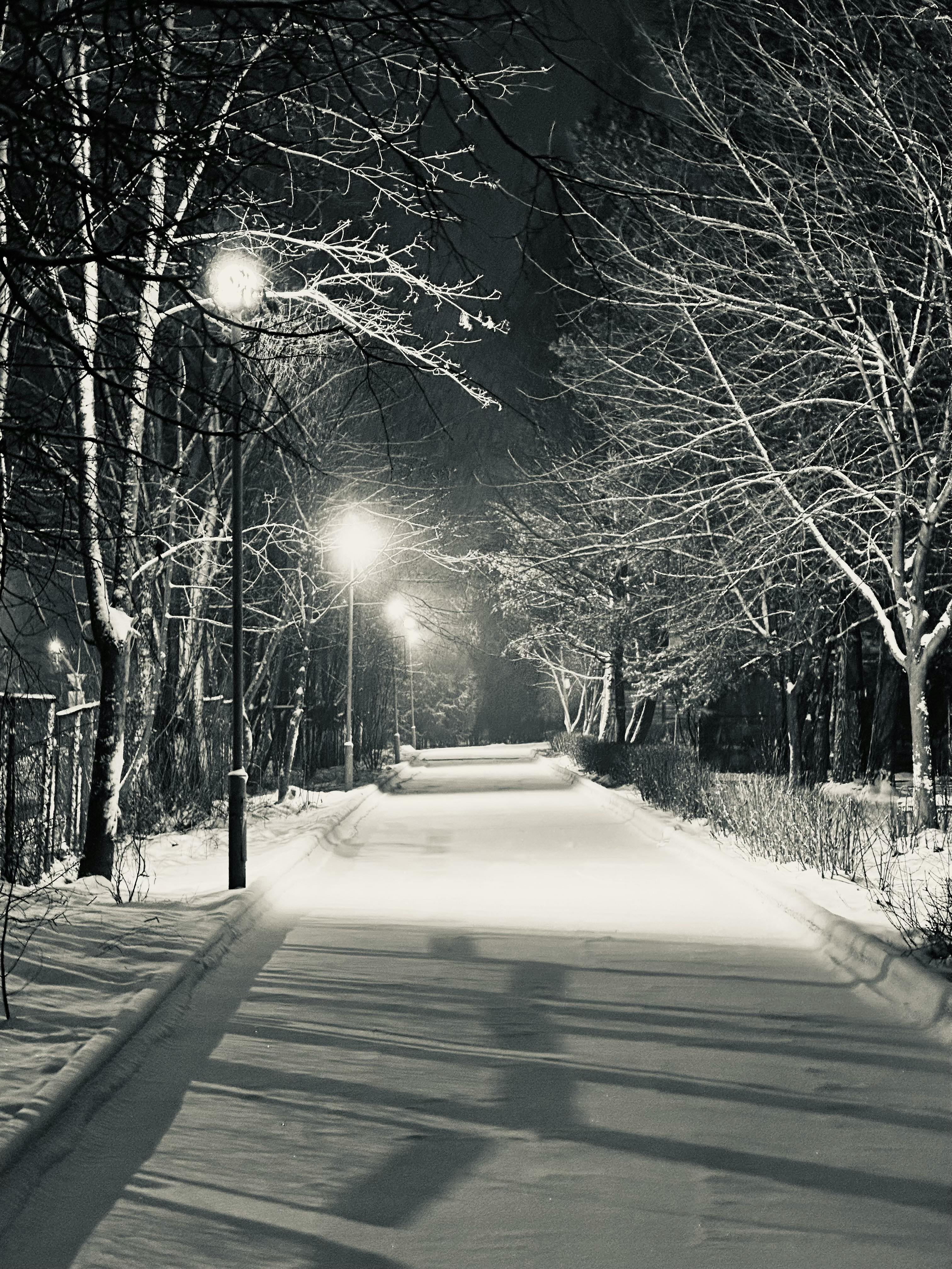 Snowy Winter Night Path with Streetlights · Free Stock Photo