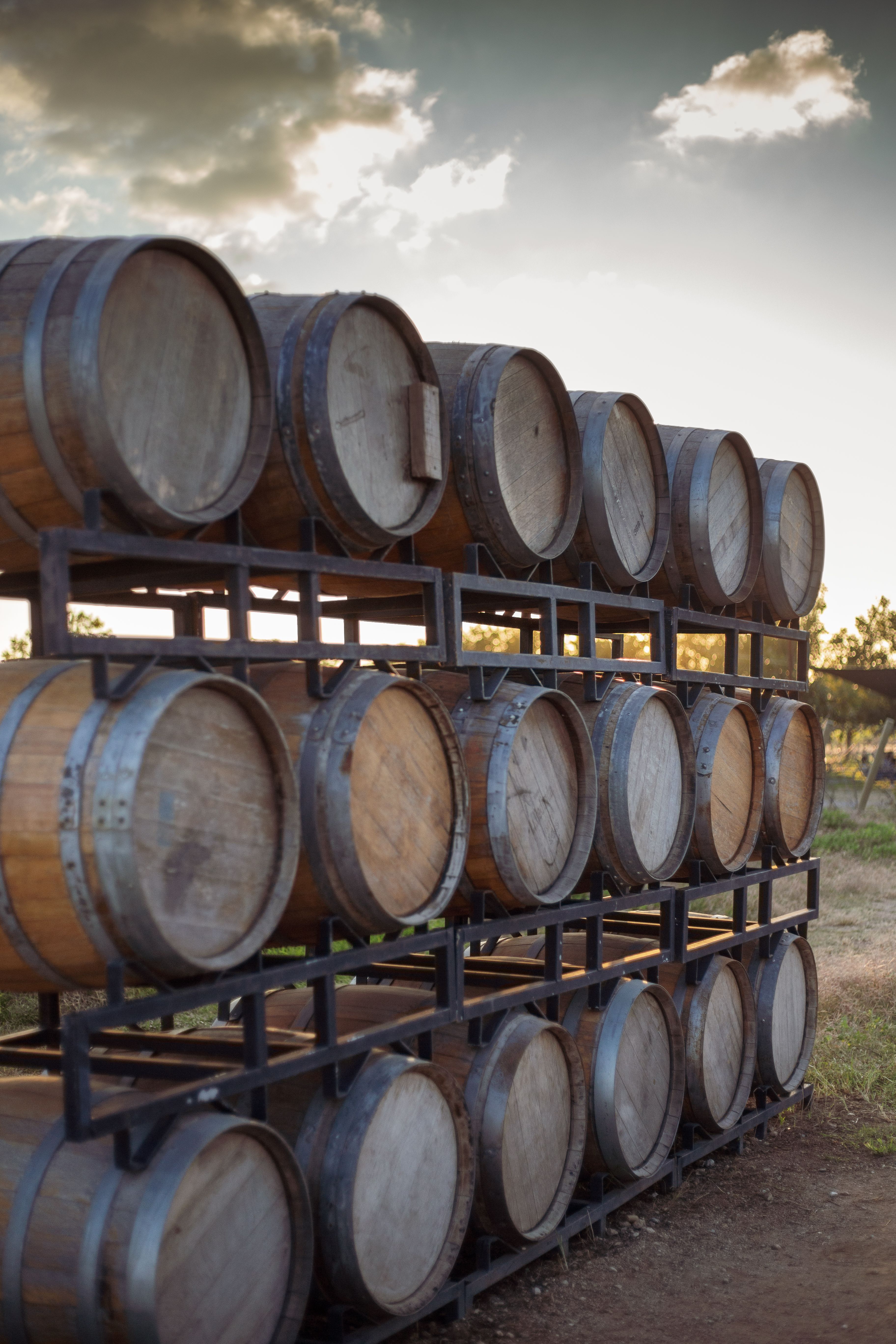 Stacked Wine Barrels in a Picturesque Vineyard · Free Stock Photo