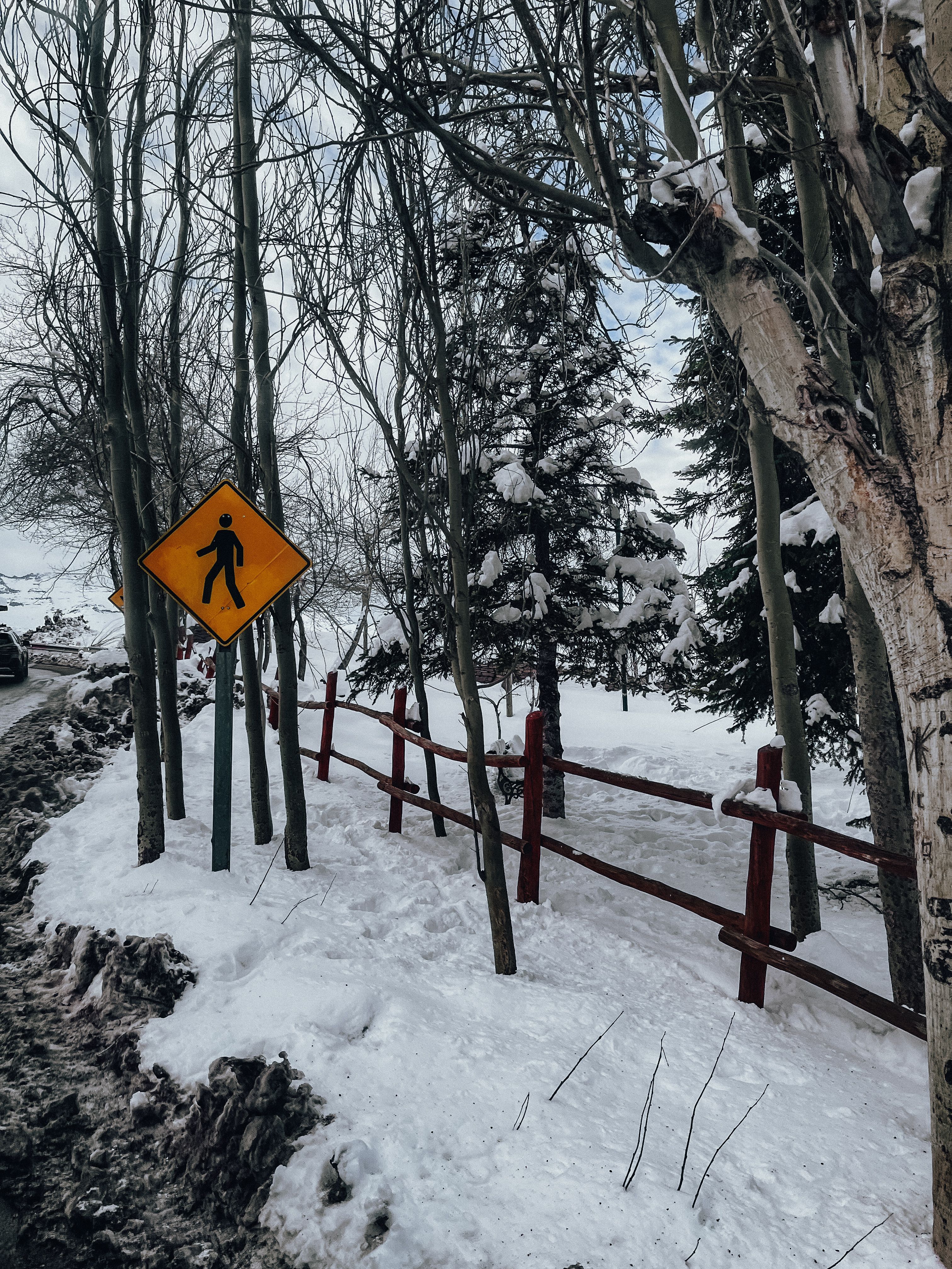 Snowy Path with Pedestrian Crossing Sign · Free Stock Photo