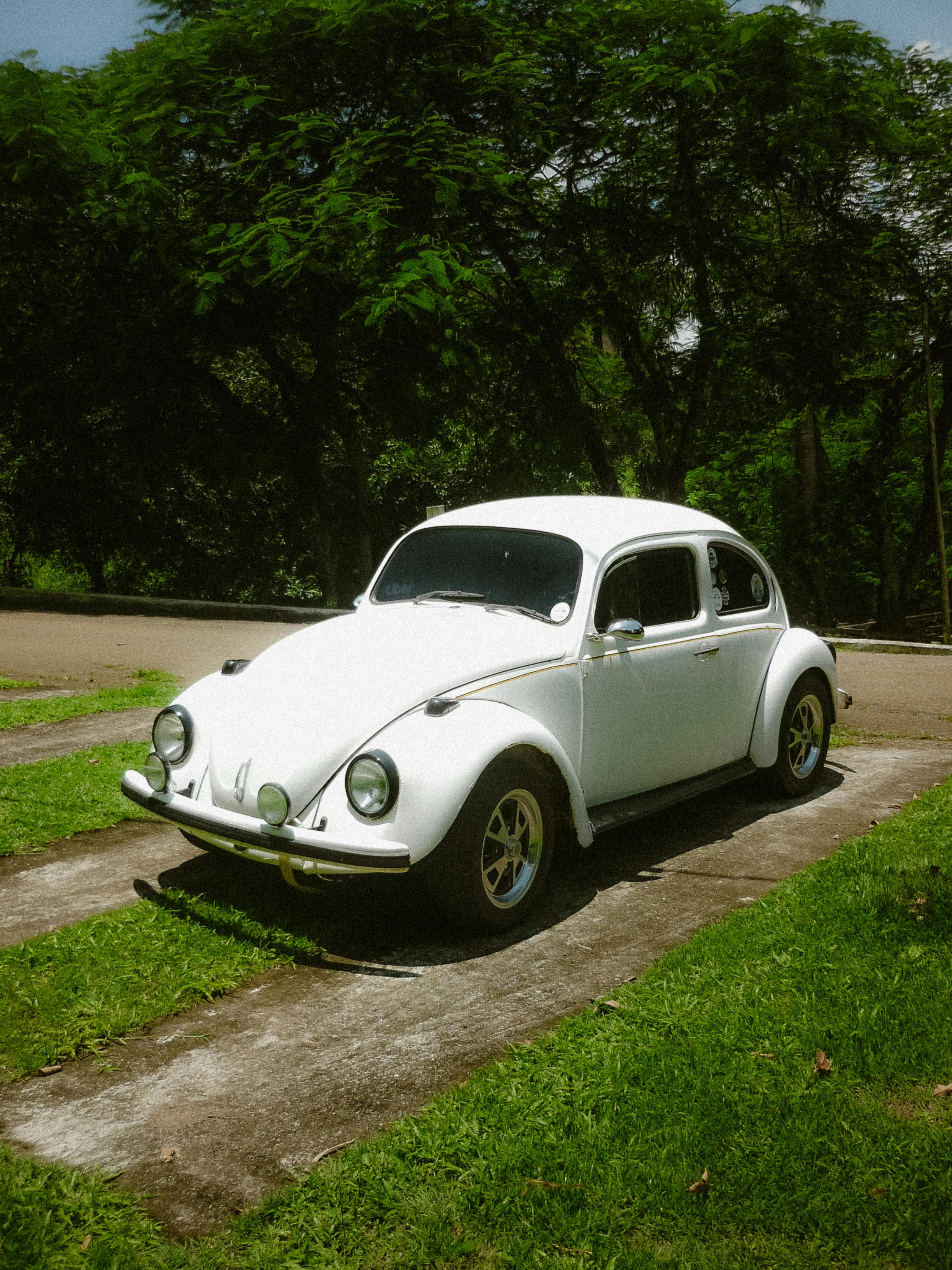 Fusca Clássico Branco Em Ambiente De Parque · Foto profissional gratuita