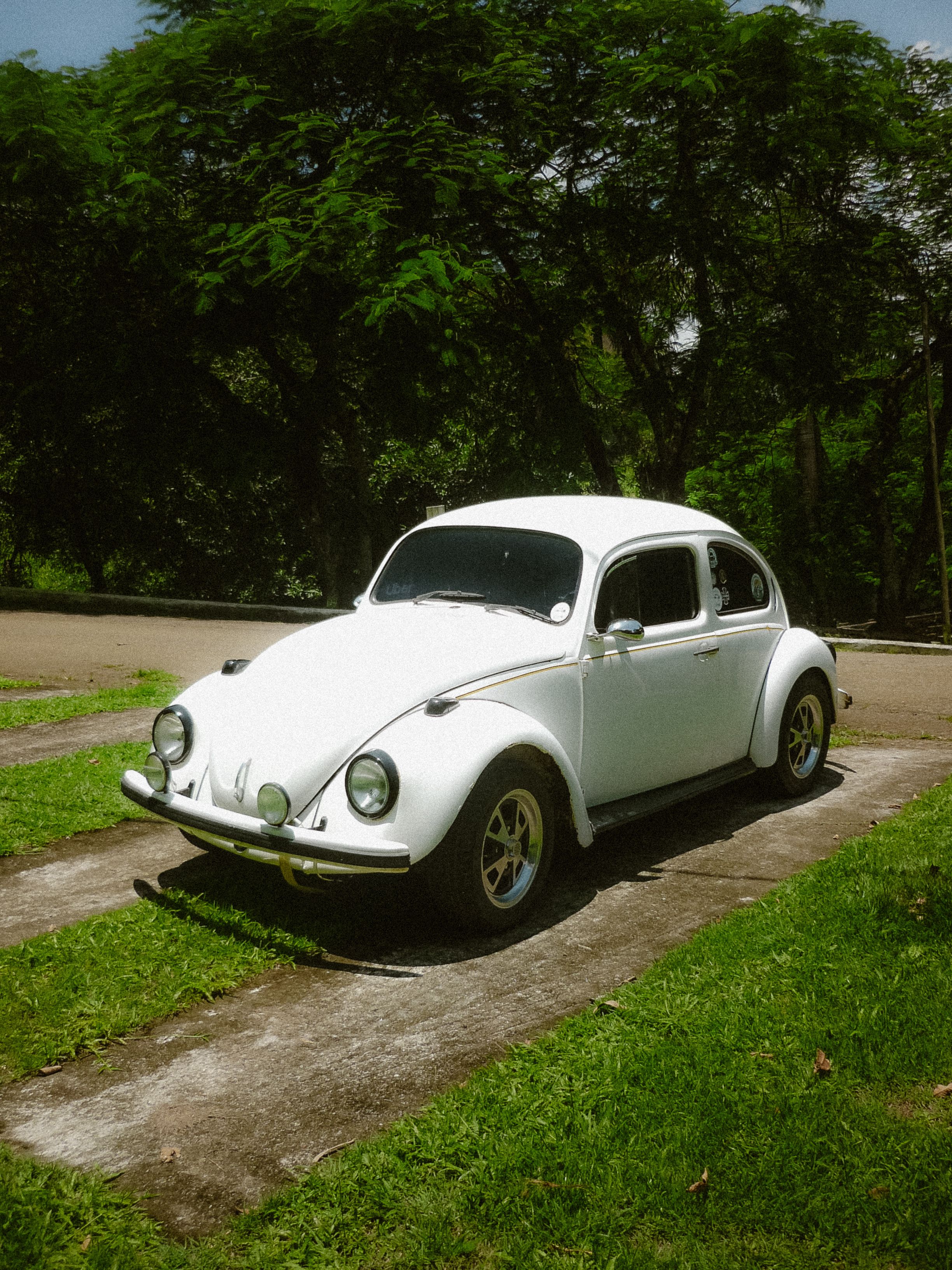 Classic White Volkswagen Beetle in Park Setting · Free Stock Photo