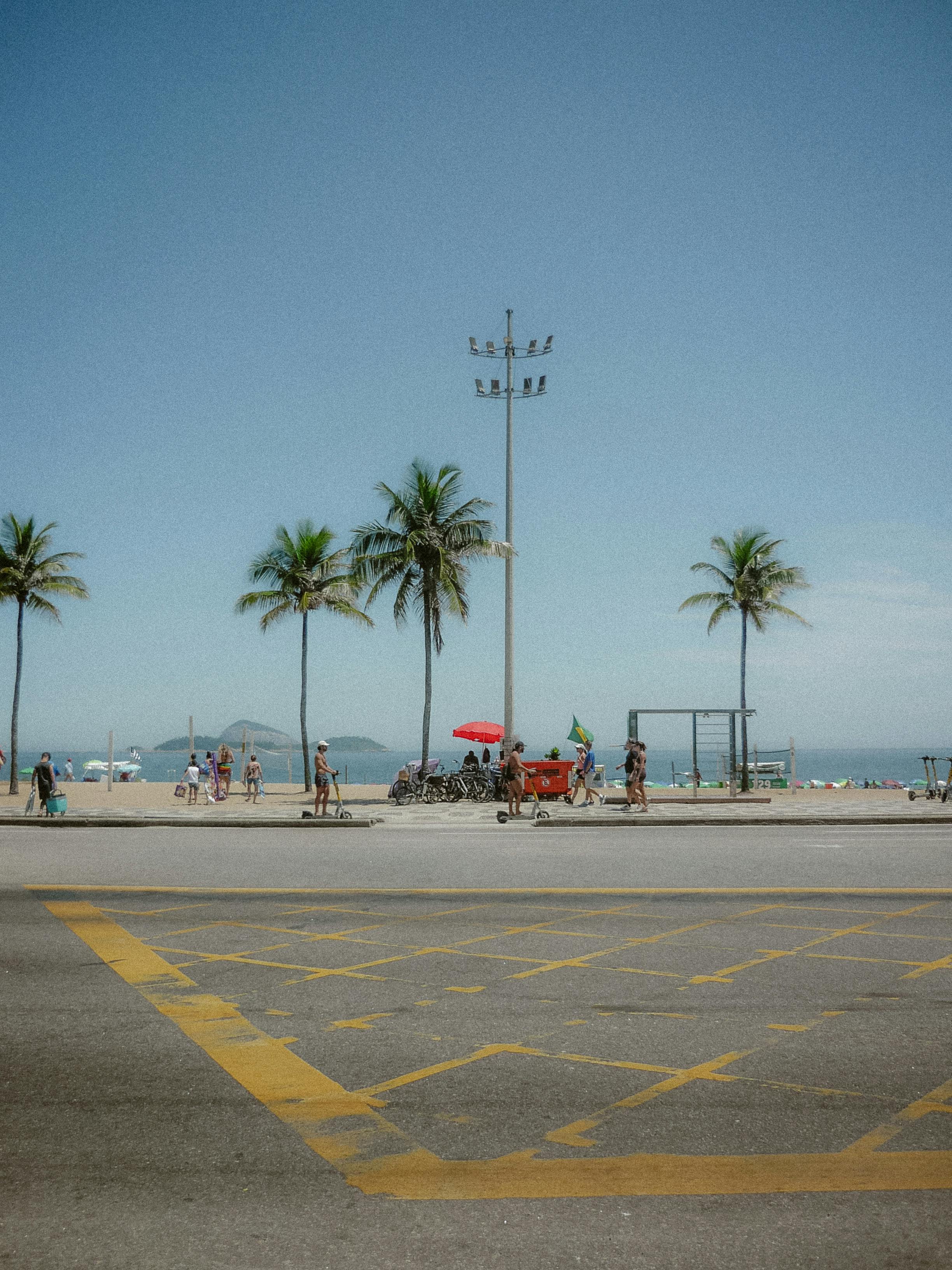 Sunny Day at a Brazilian Beachfront with Palm Trees · Free Stock Photo