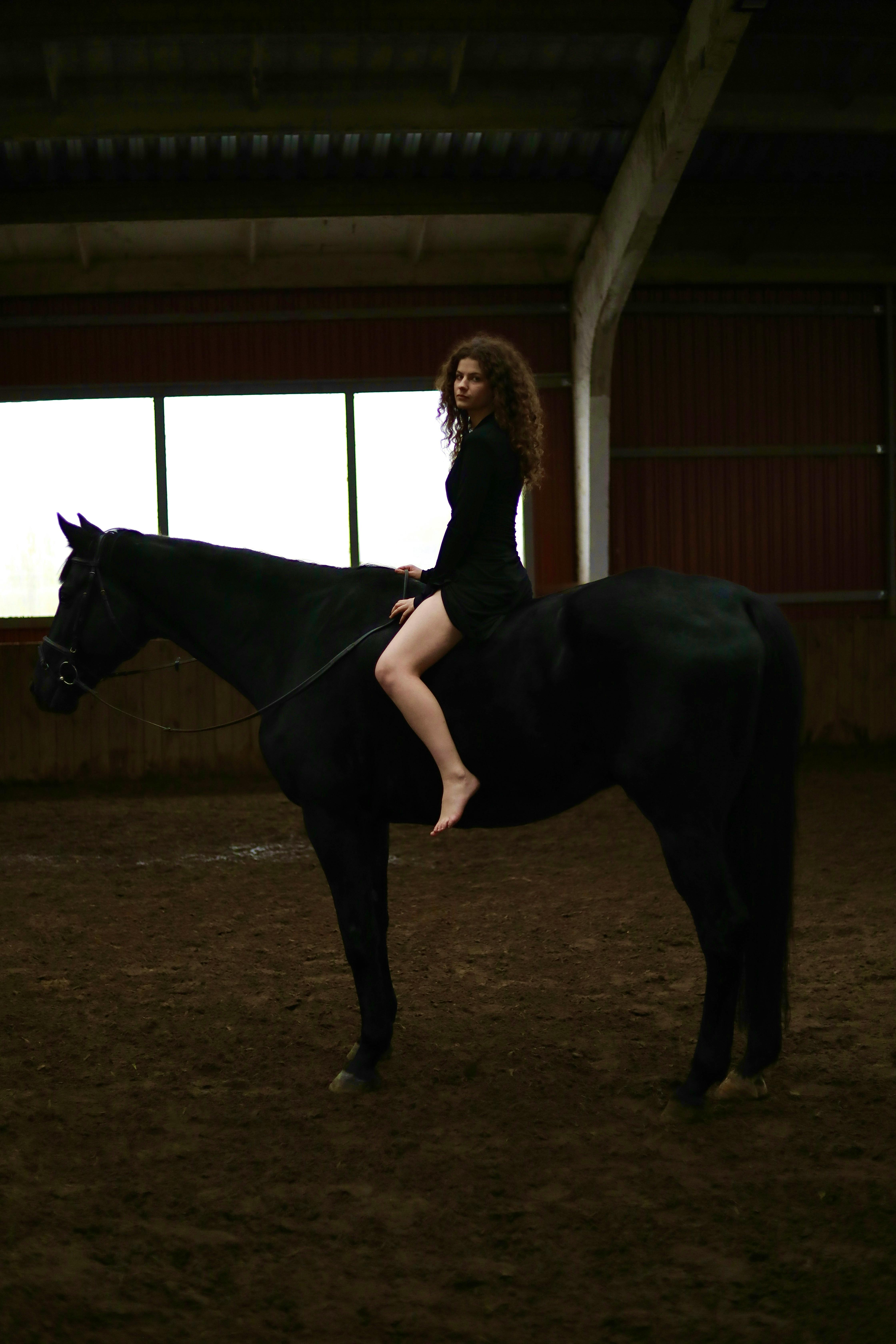 Elegant Indoor Horseback Riding Portrait · Free Stock Photo