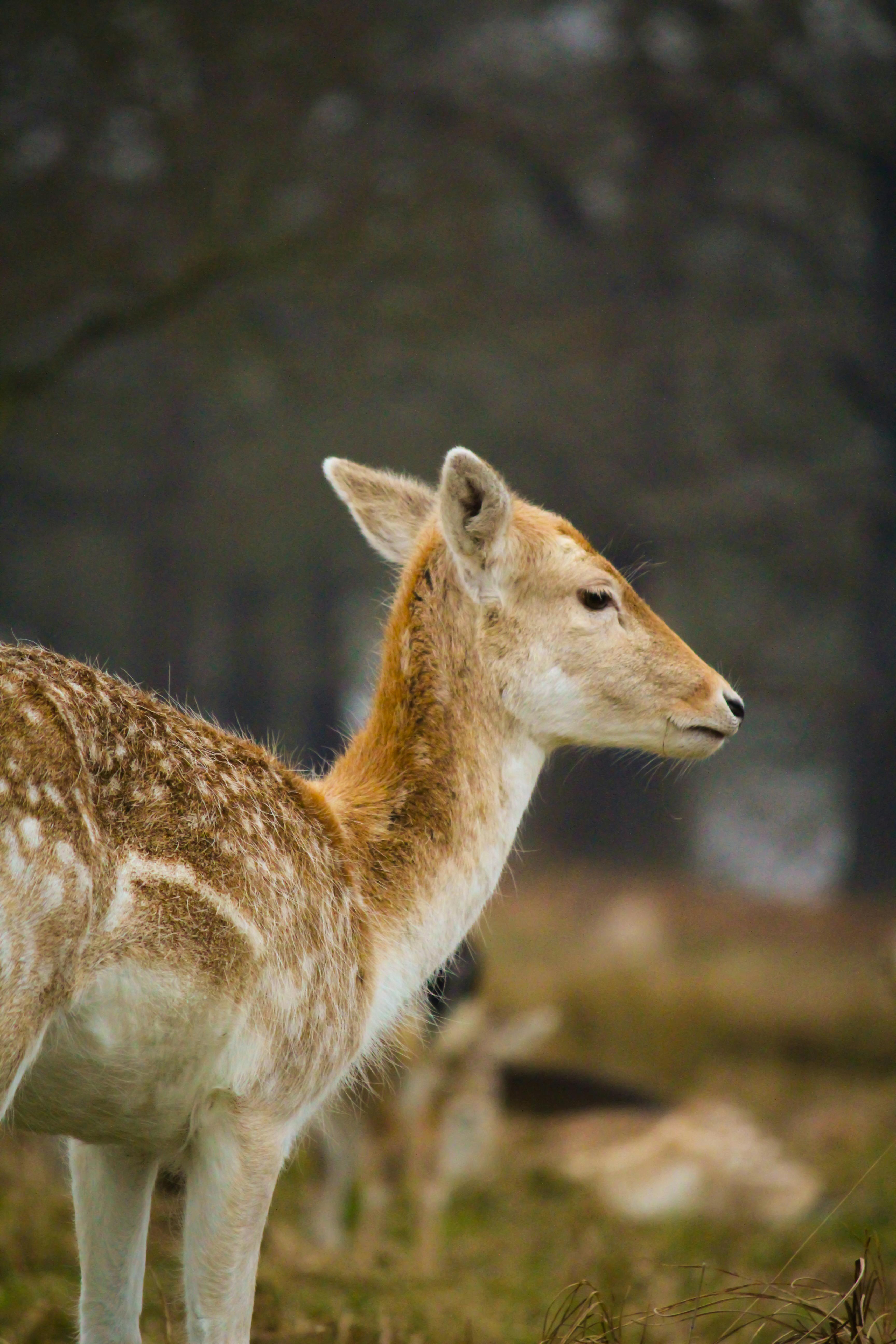 Animation Gifs Free Photos, Download The BEST Free Animation Gifs Free ...