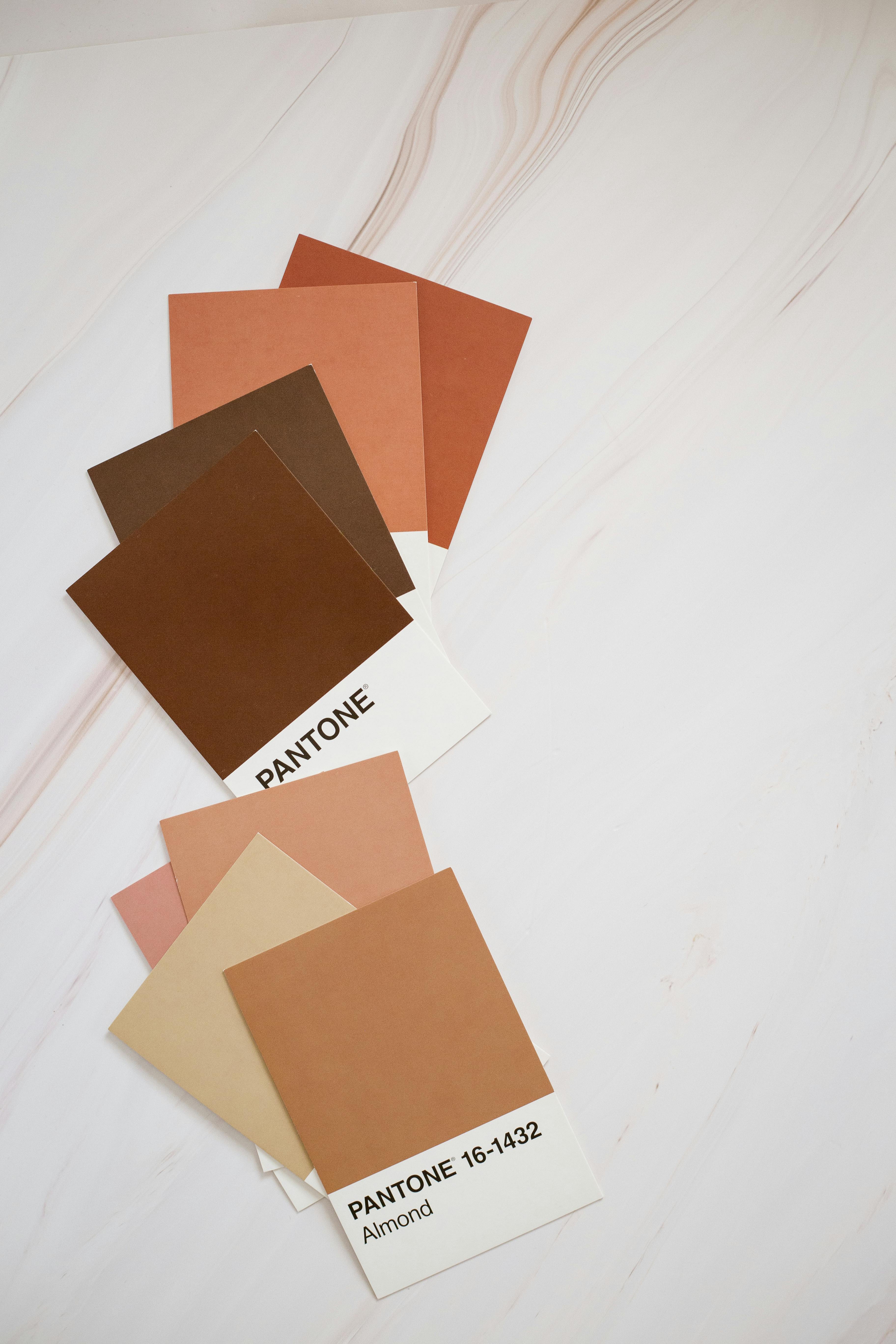 Susunan Kartu Warna Pantone Yang Elegan · Foto Stok Gratis