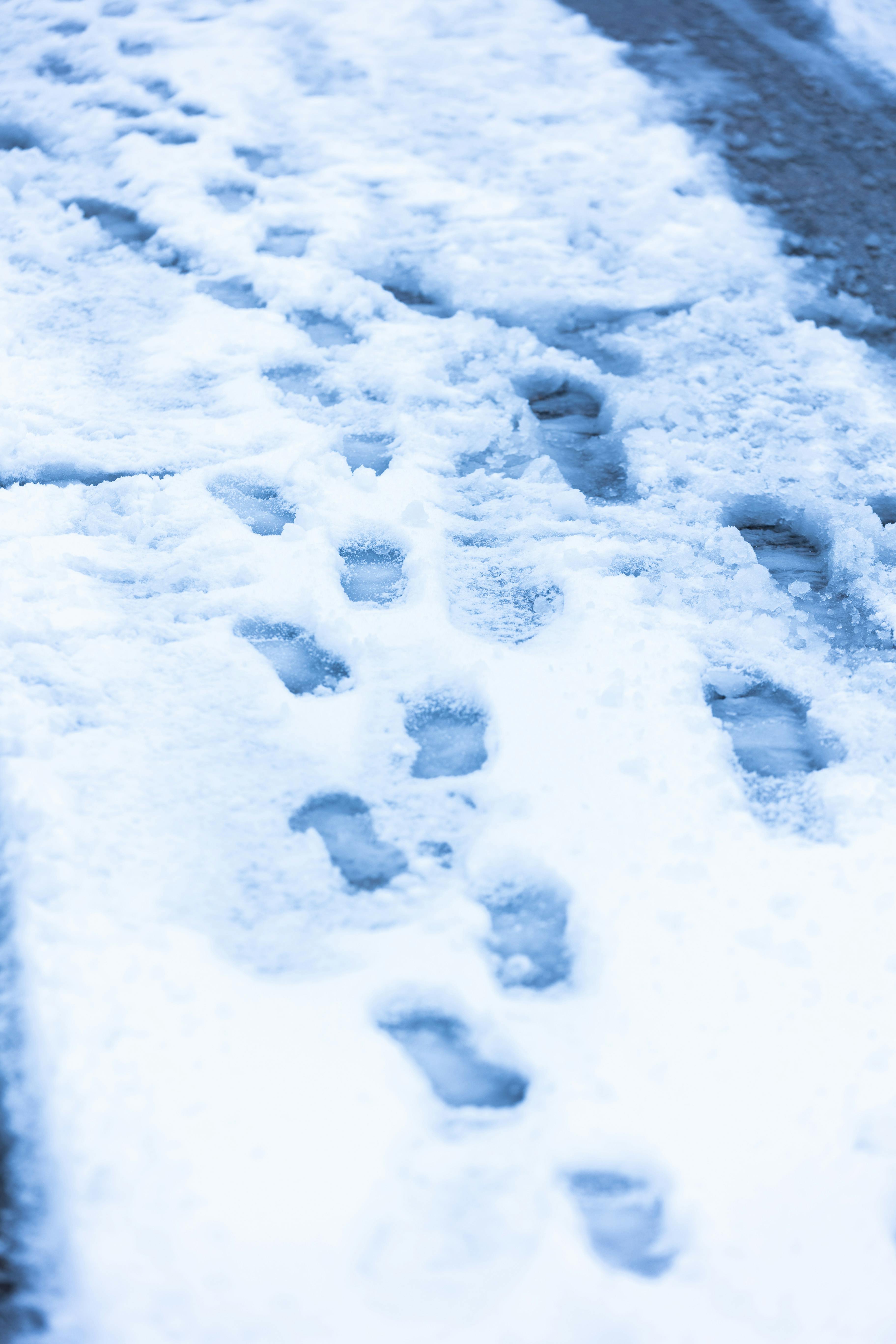 Footprints in Snow on a Winter Pathway · Free Stock Photo
