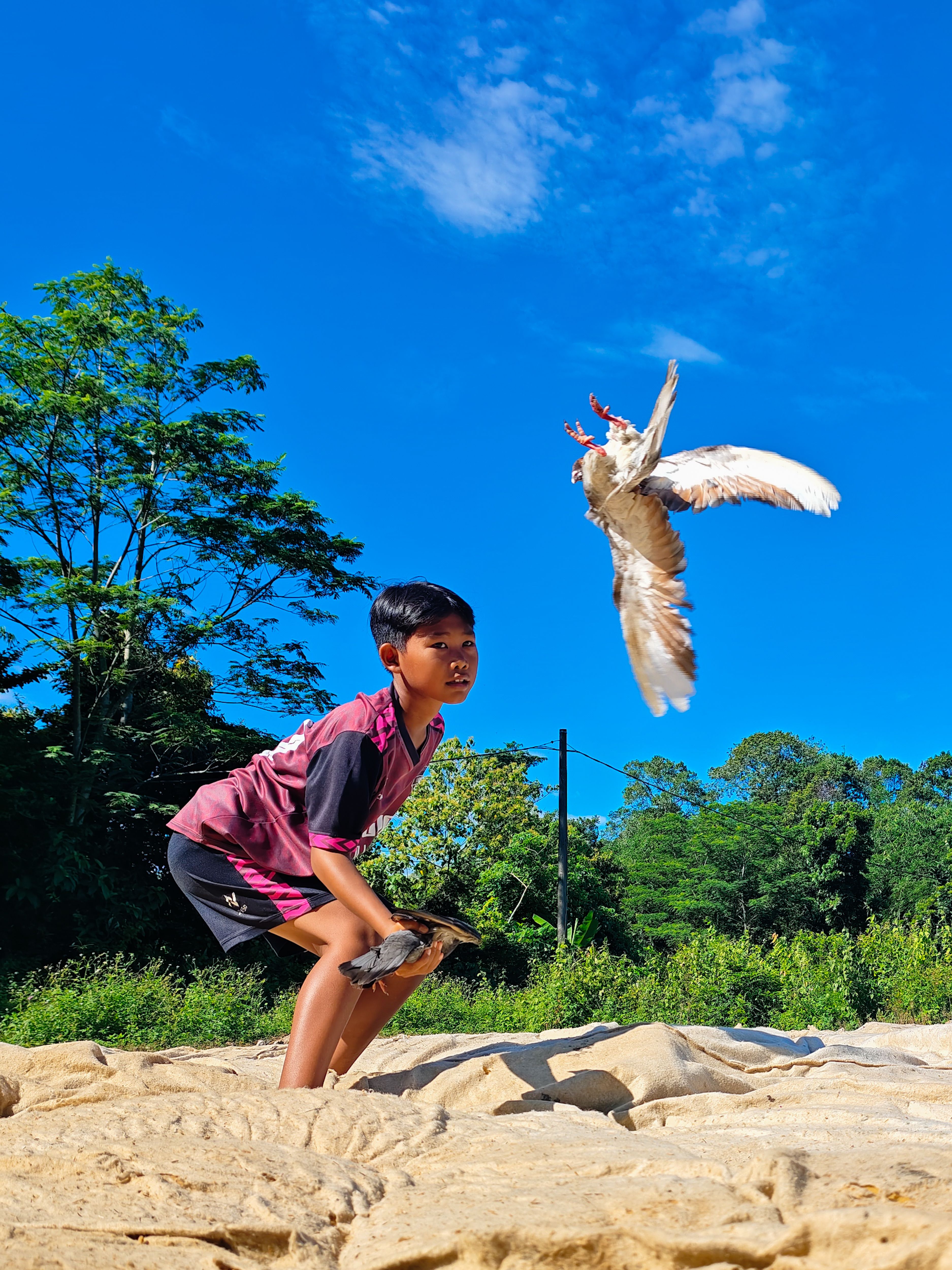 Boy releasing a bird under a clear blue sky · Free Stock Photo