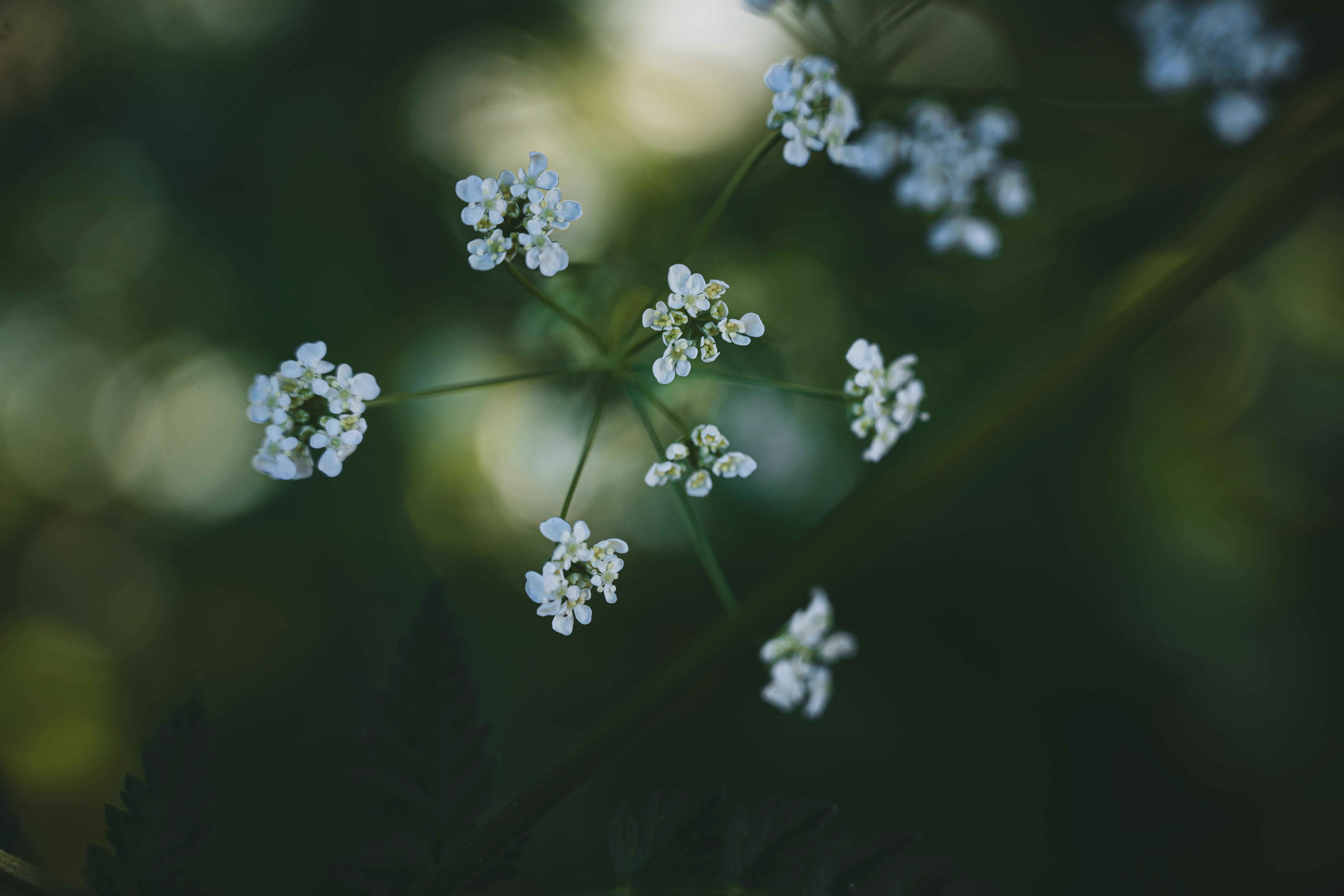 Background Website Hd Photos, Download The BEST Free Background Website ...