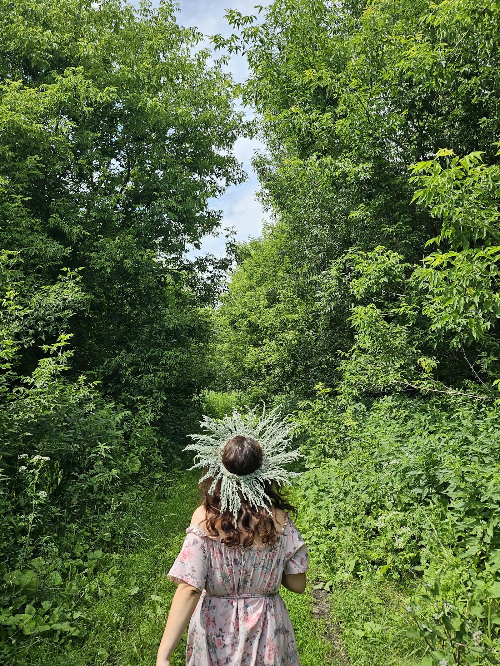 Forest Woman Photos, Download The BEST Free Forest Woman Stock Photos ...