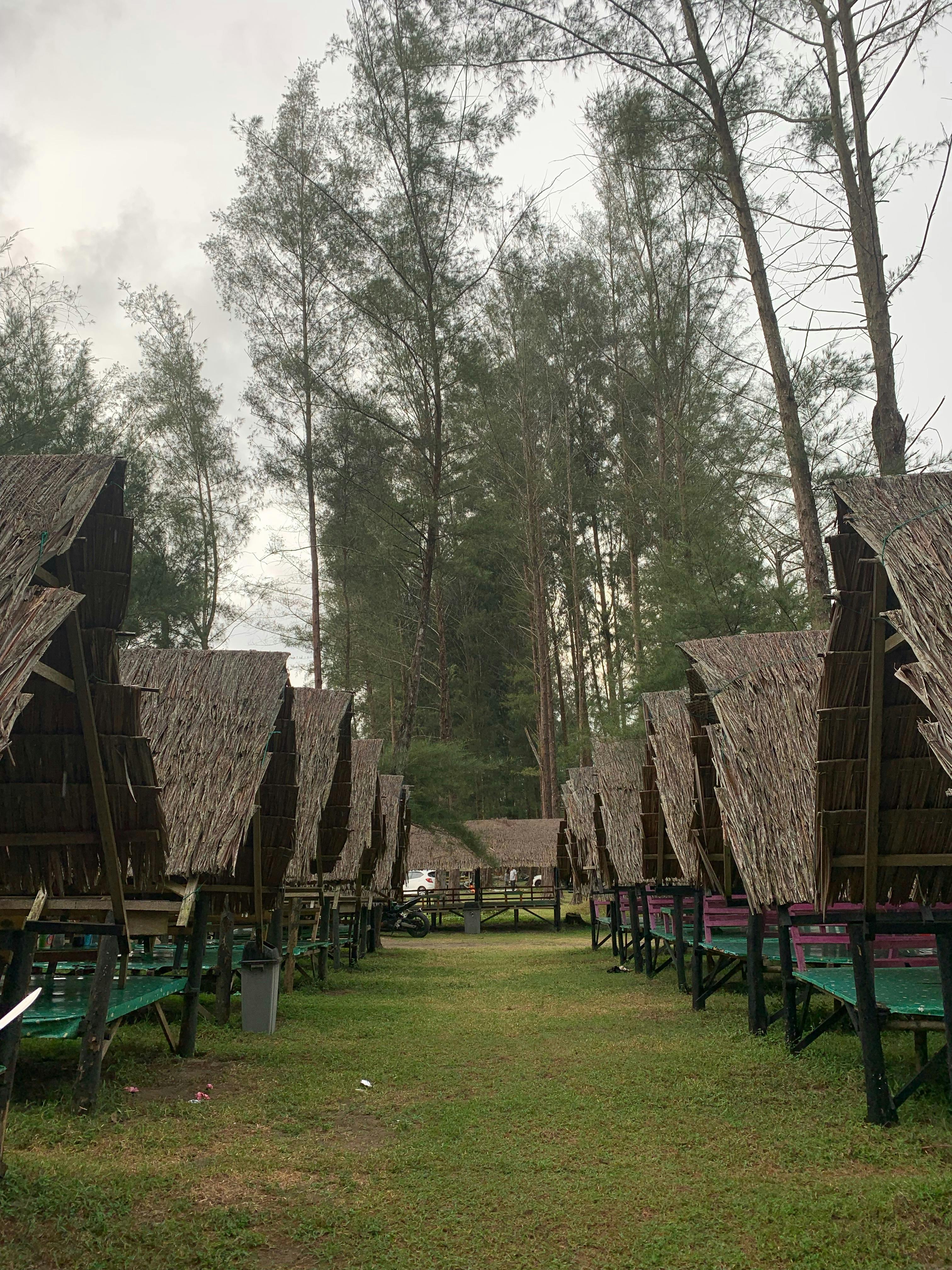 Traditional Bamboo Huts in Indonesian Forest Setting · Free Stock Photo