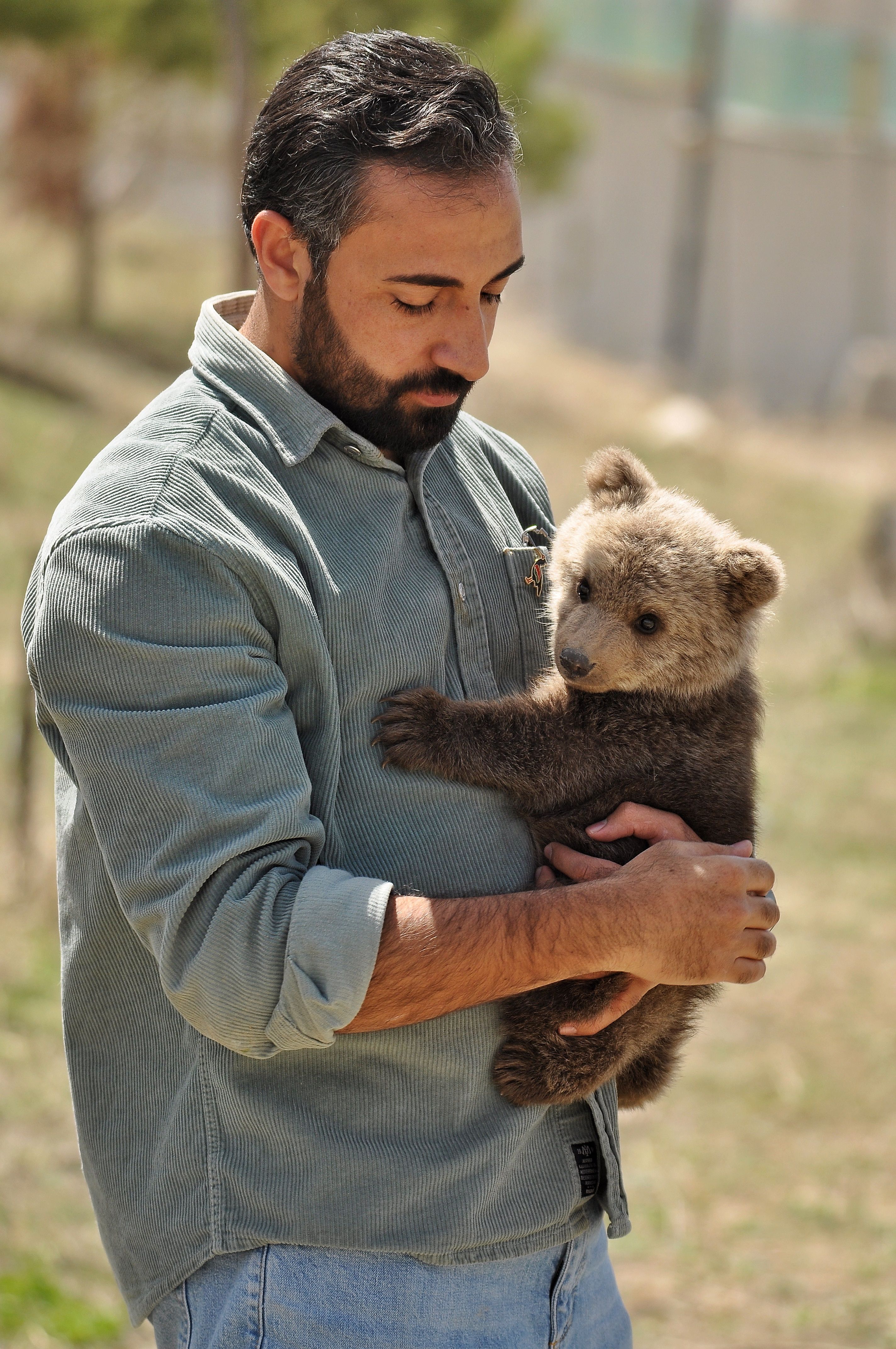 Man Gently Holding a Bear Cub Outdoors · Free Stock Photo