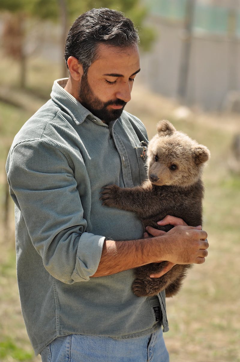 Cub Photos, Download The BEST Free Cub Stock Photos & HD Images