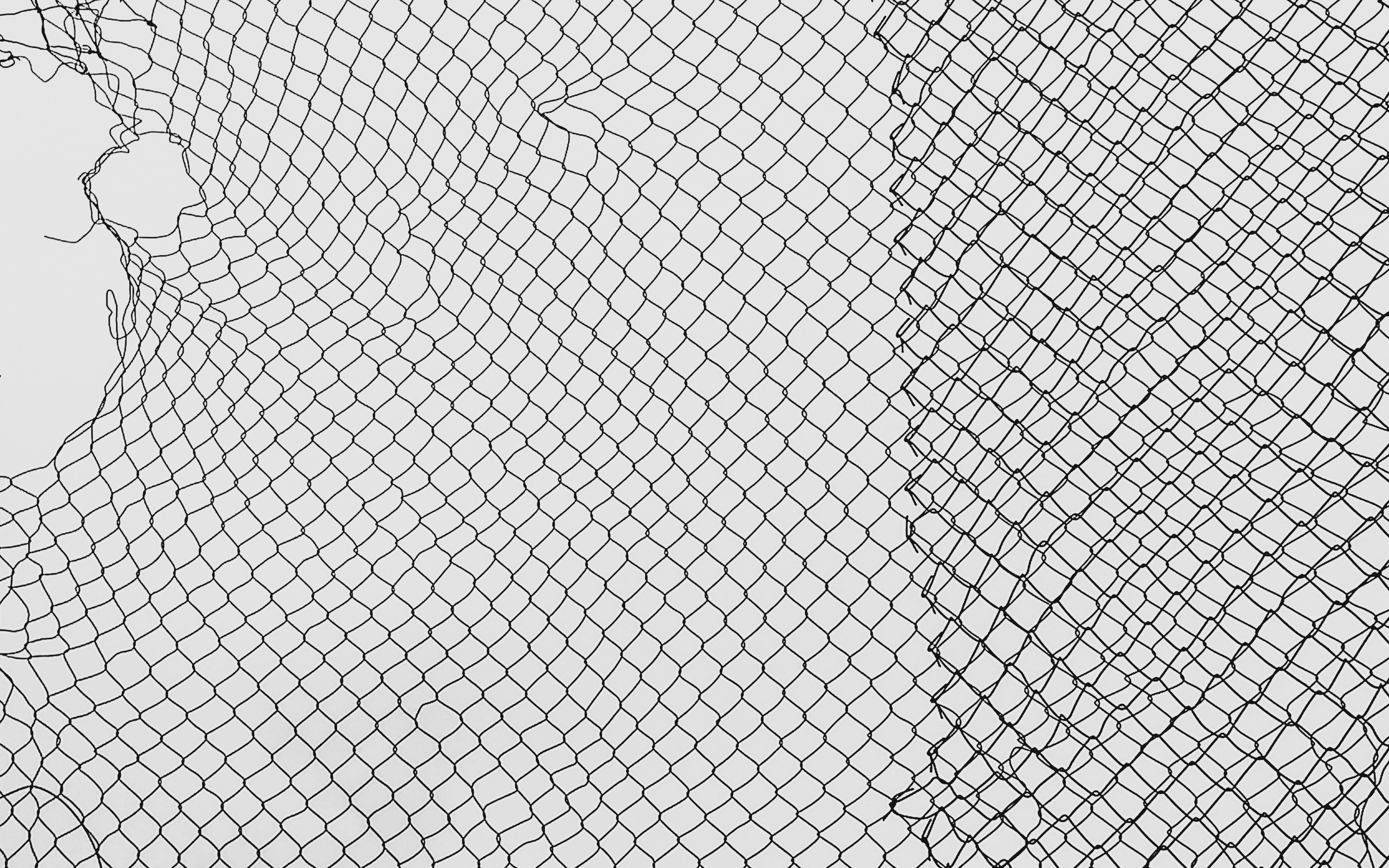 Detailed Close-up of a Torn Safety Net · Free Stock Photo