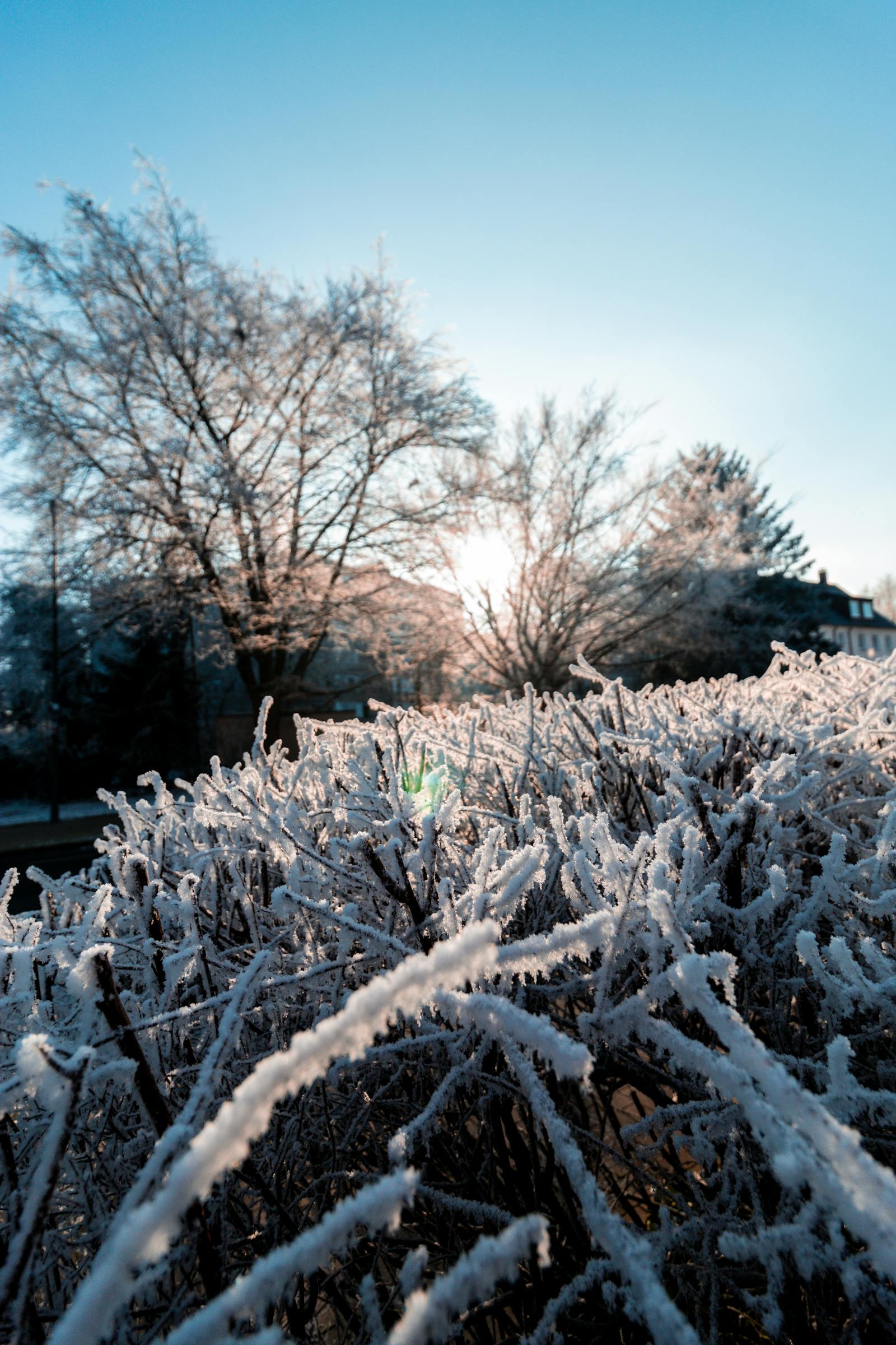 Winter Texture Photos, Download The BEST Free Winter Texture Stock ...