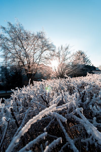 Winter Texture Photos, Download The BEST Free Winter Texture Stock ...