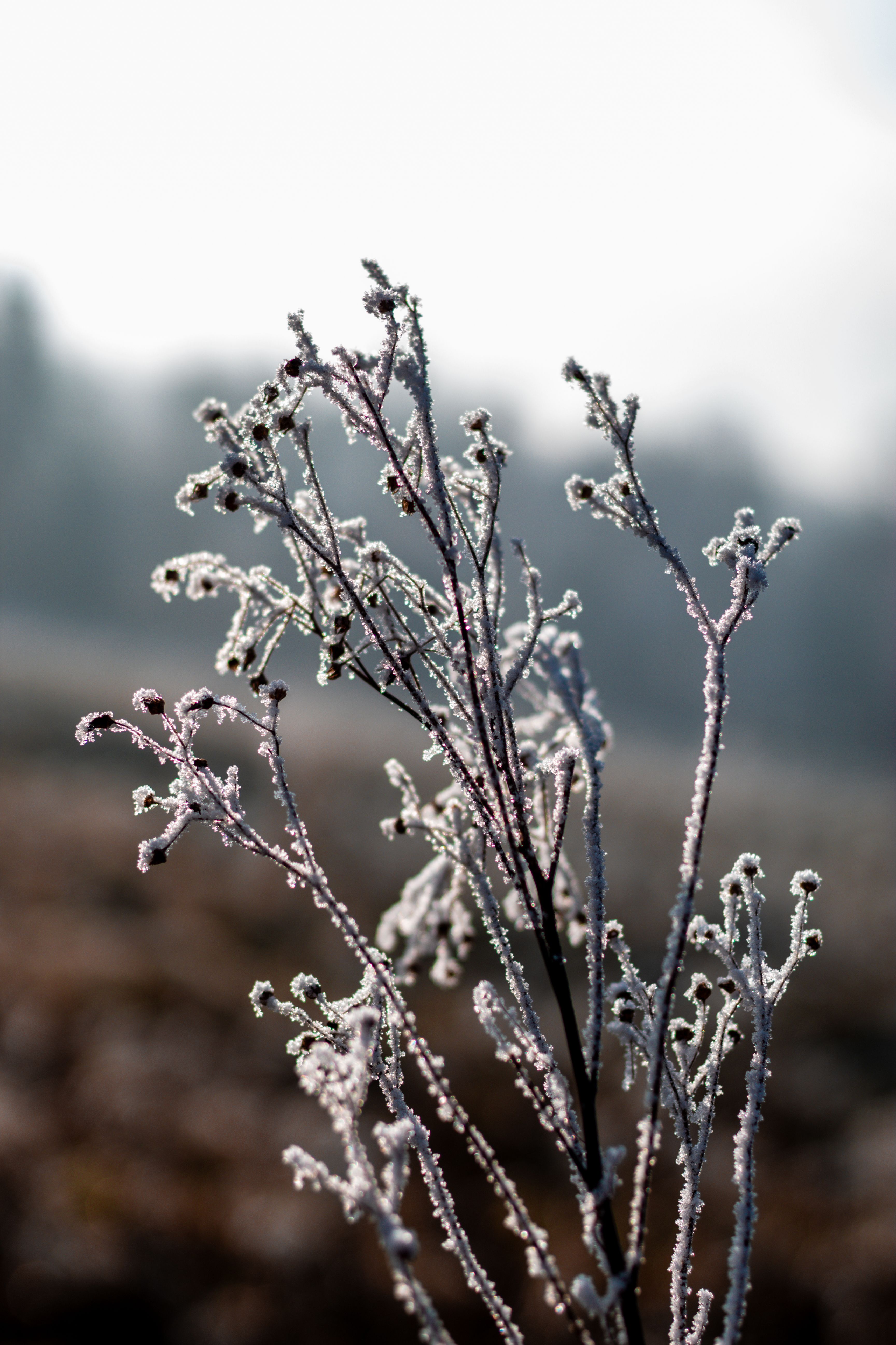 Rime Och Linjetrafik Photos, Download The BEST Free Rime Och ...