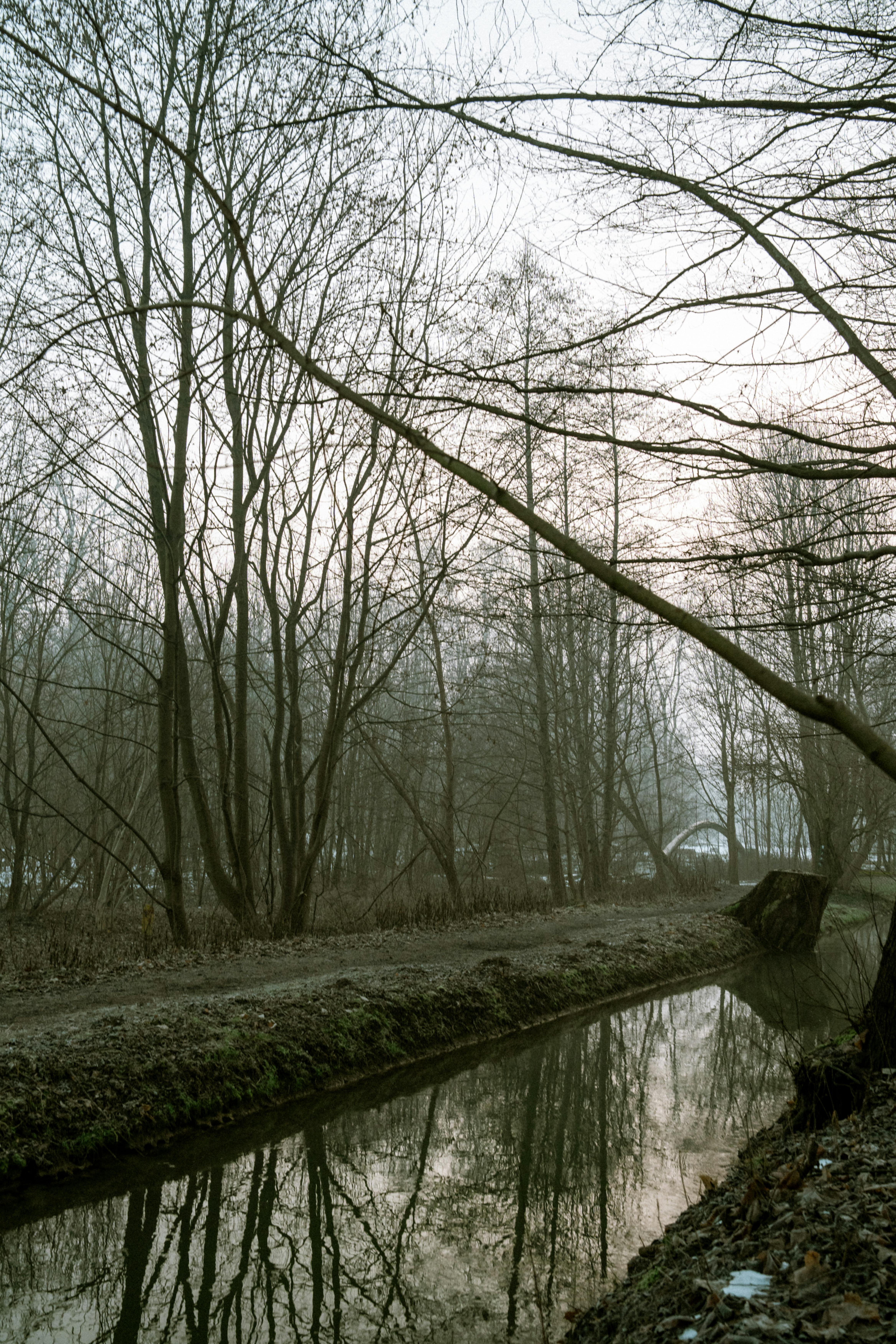 Misty Mirror Photos, Download The BEST Free Misty Mirror Stock Photos ...