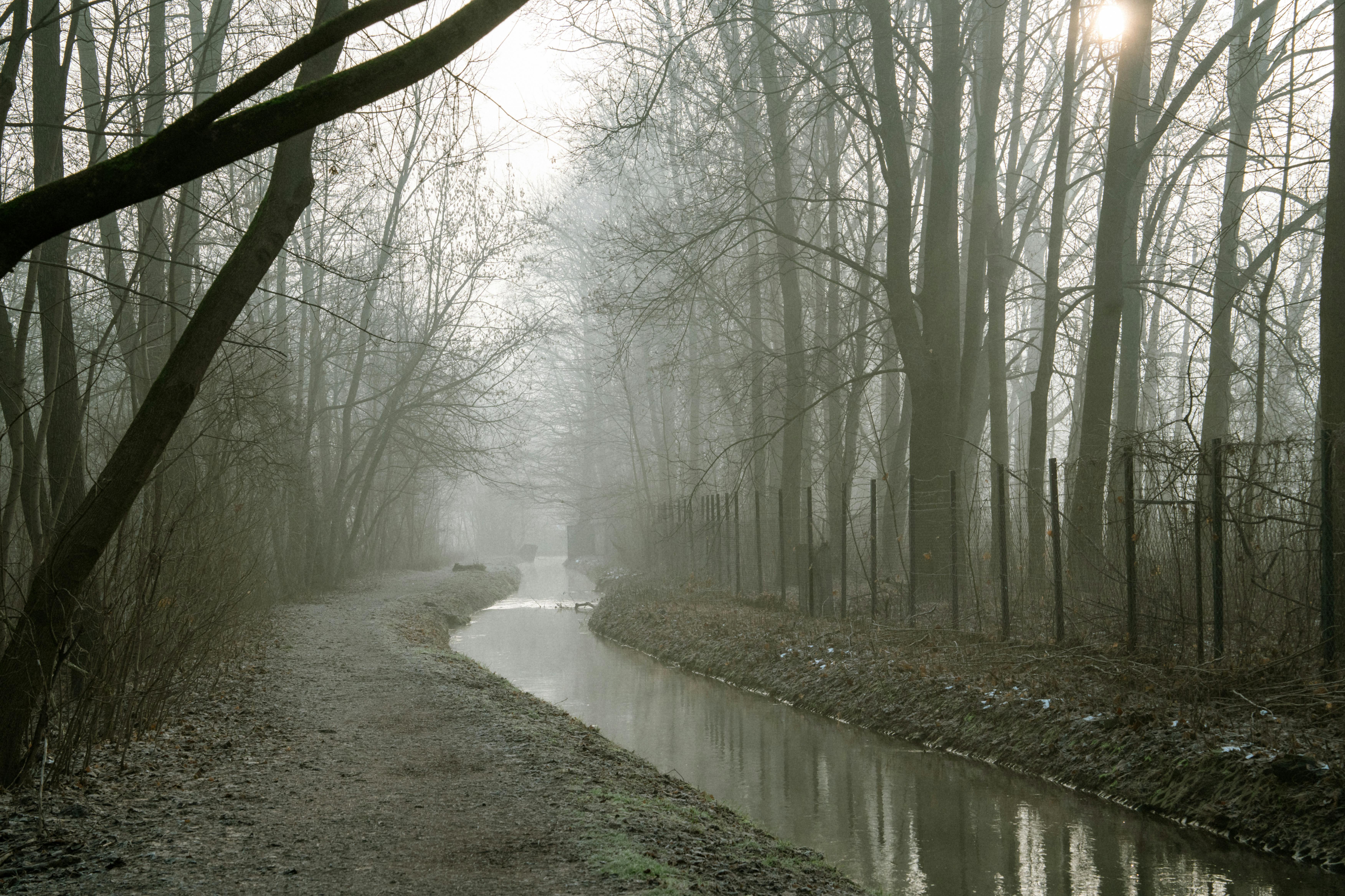 Ethereal Mystic Photos, Download The BEST Free Ethereal Mystic Stock ...