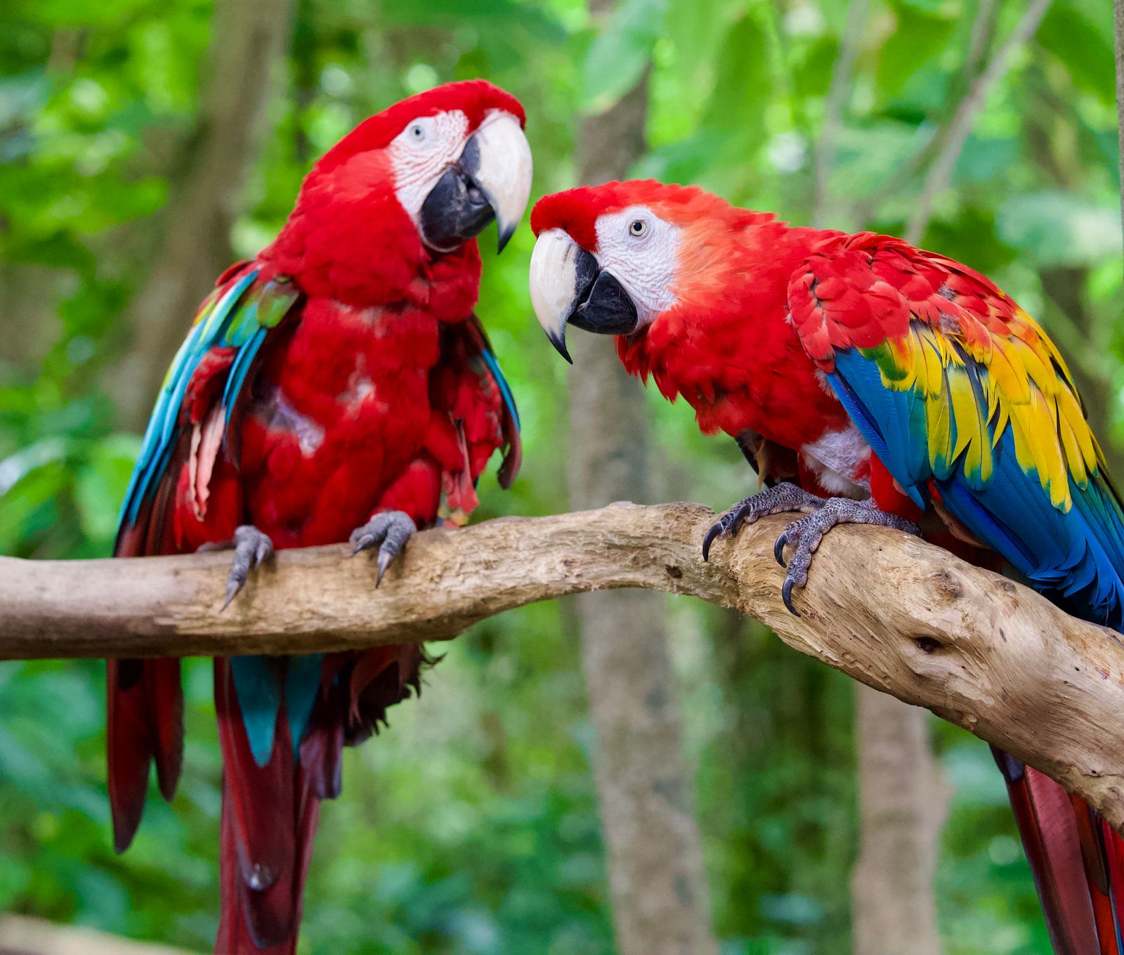Beautiful Jam AI Ca Photos, Download The BEST Free Beautiful Jam AI Ca ...