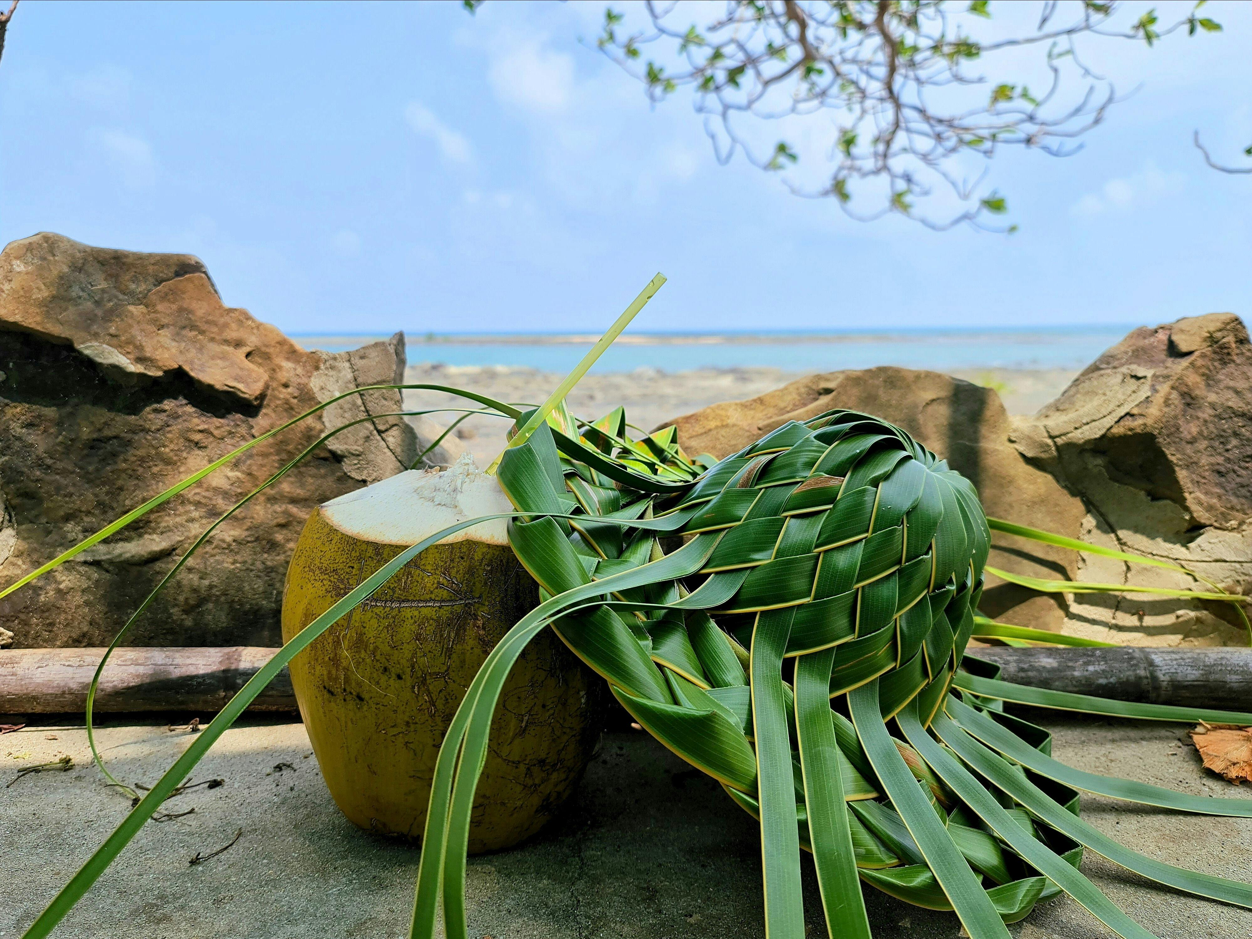 Coconut Macroons Photos, Download The BEST Free Coconut Macroons Stock ...