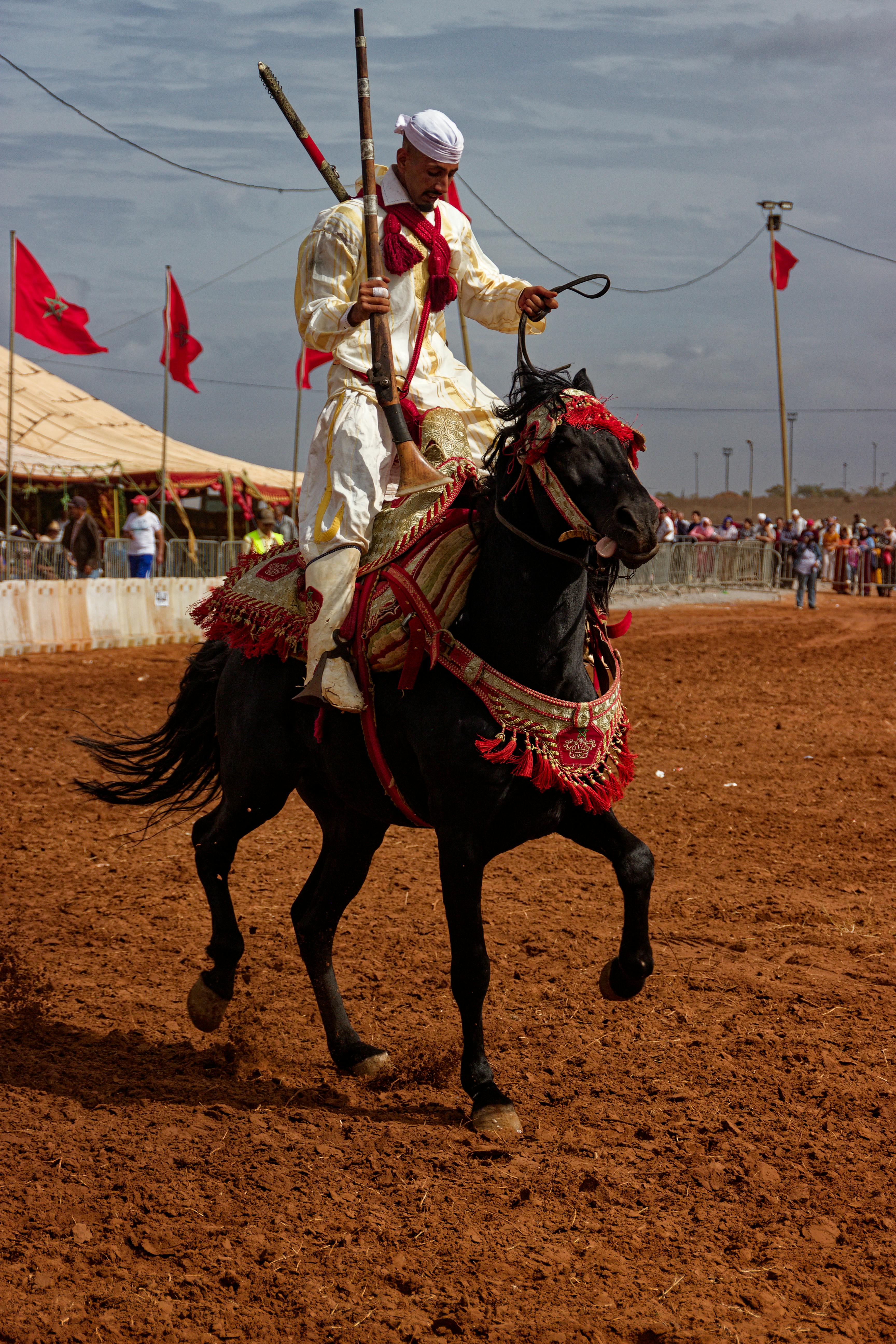Traditional Moroccan Horseback Riding Event · Free Stock Photo