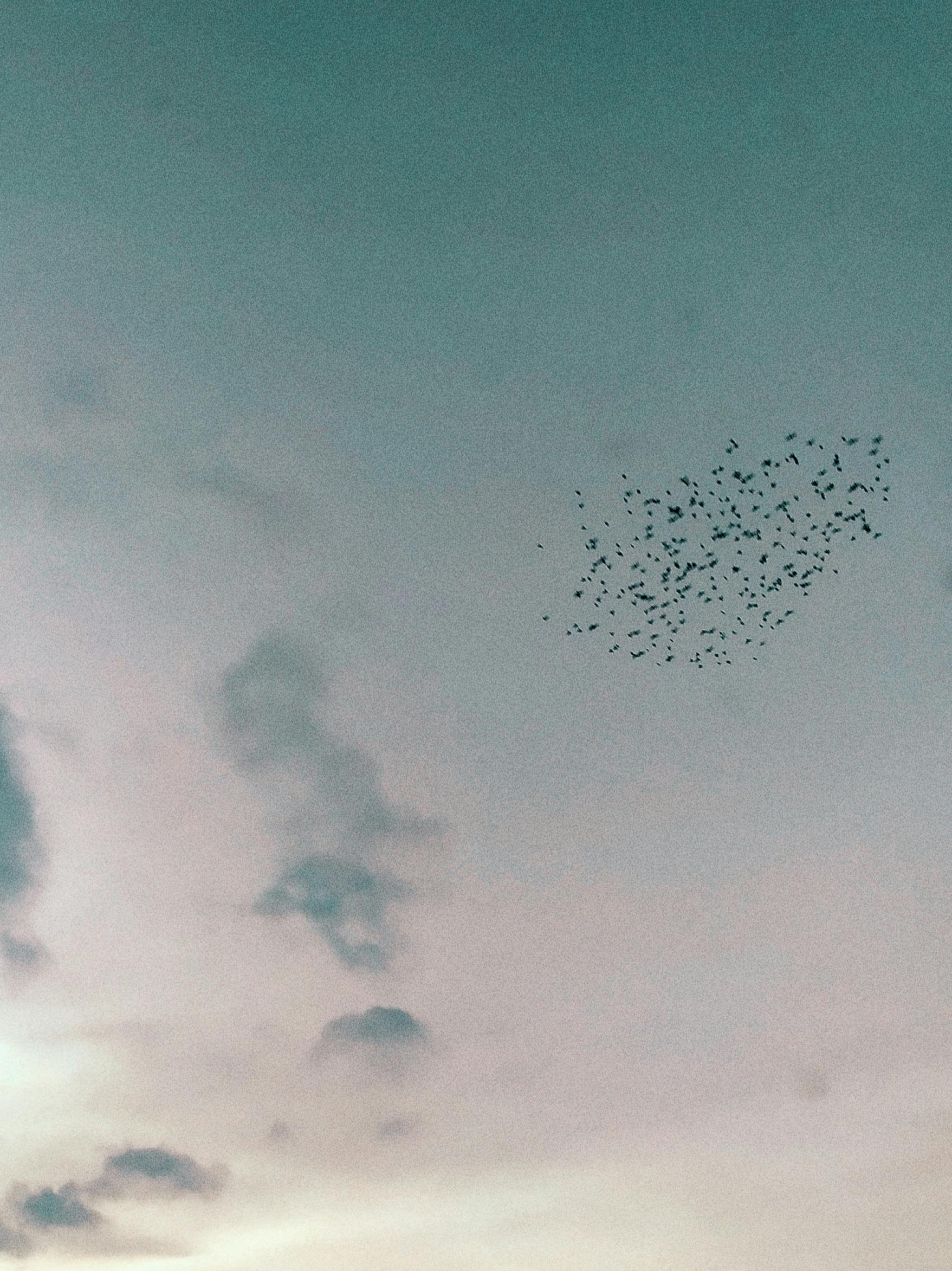 Melike Baran - 摄影