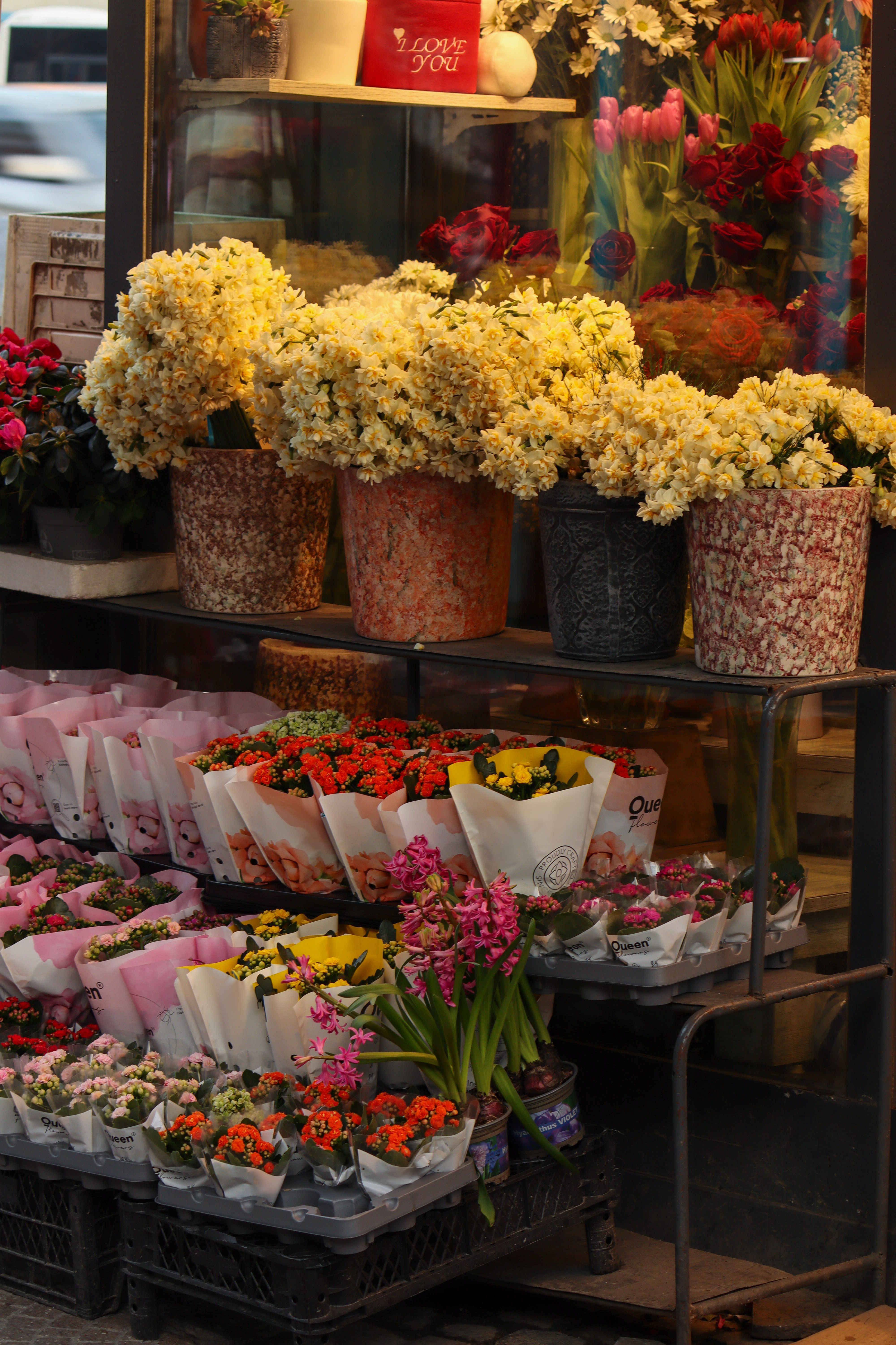 Vibrant Flower Display Outside Shop · Free Stock Photo