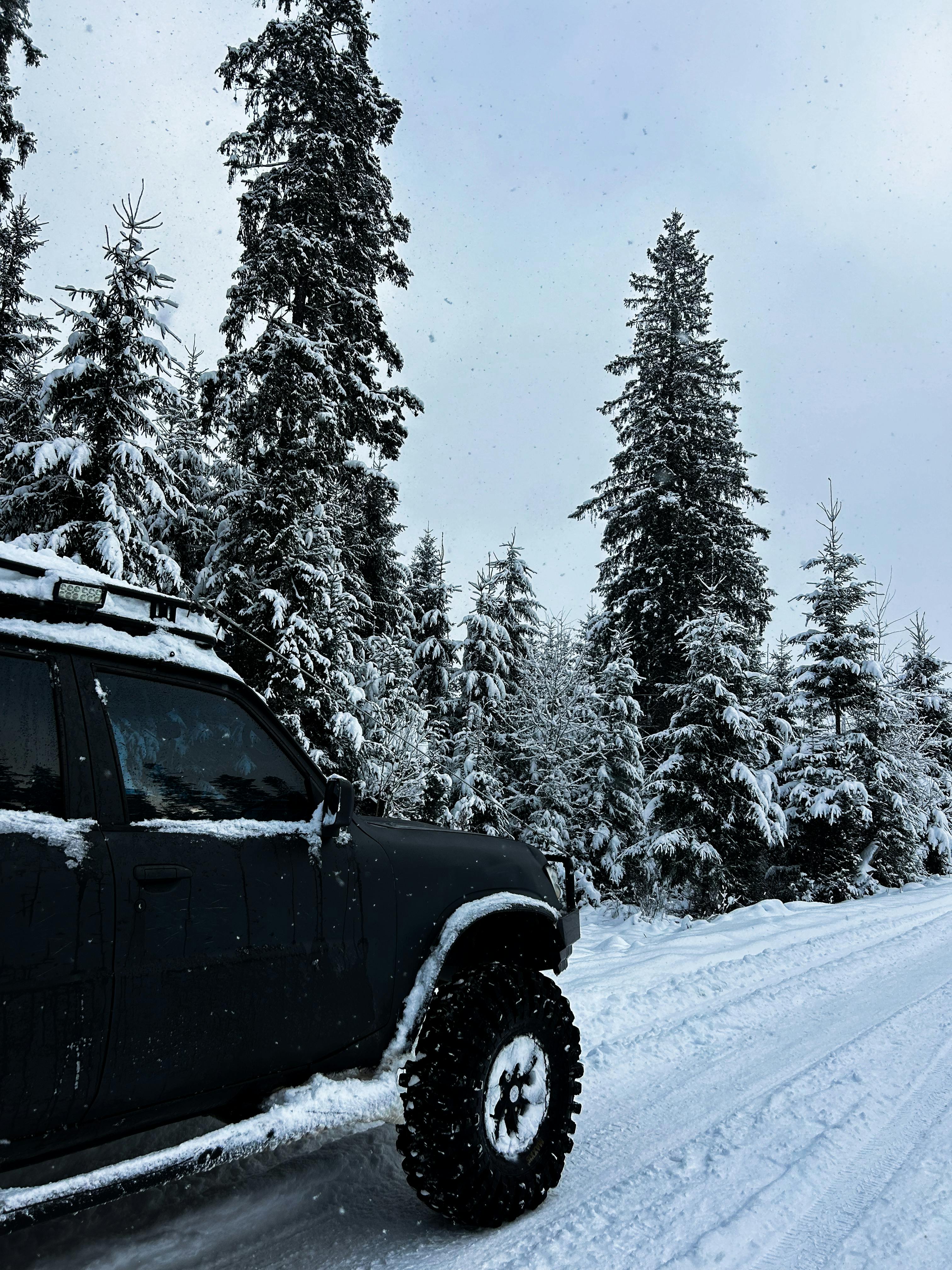 Off-road Adventure through Snowy Forest Landscape · Free Stock Photo