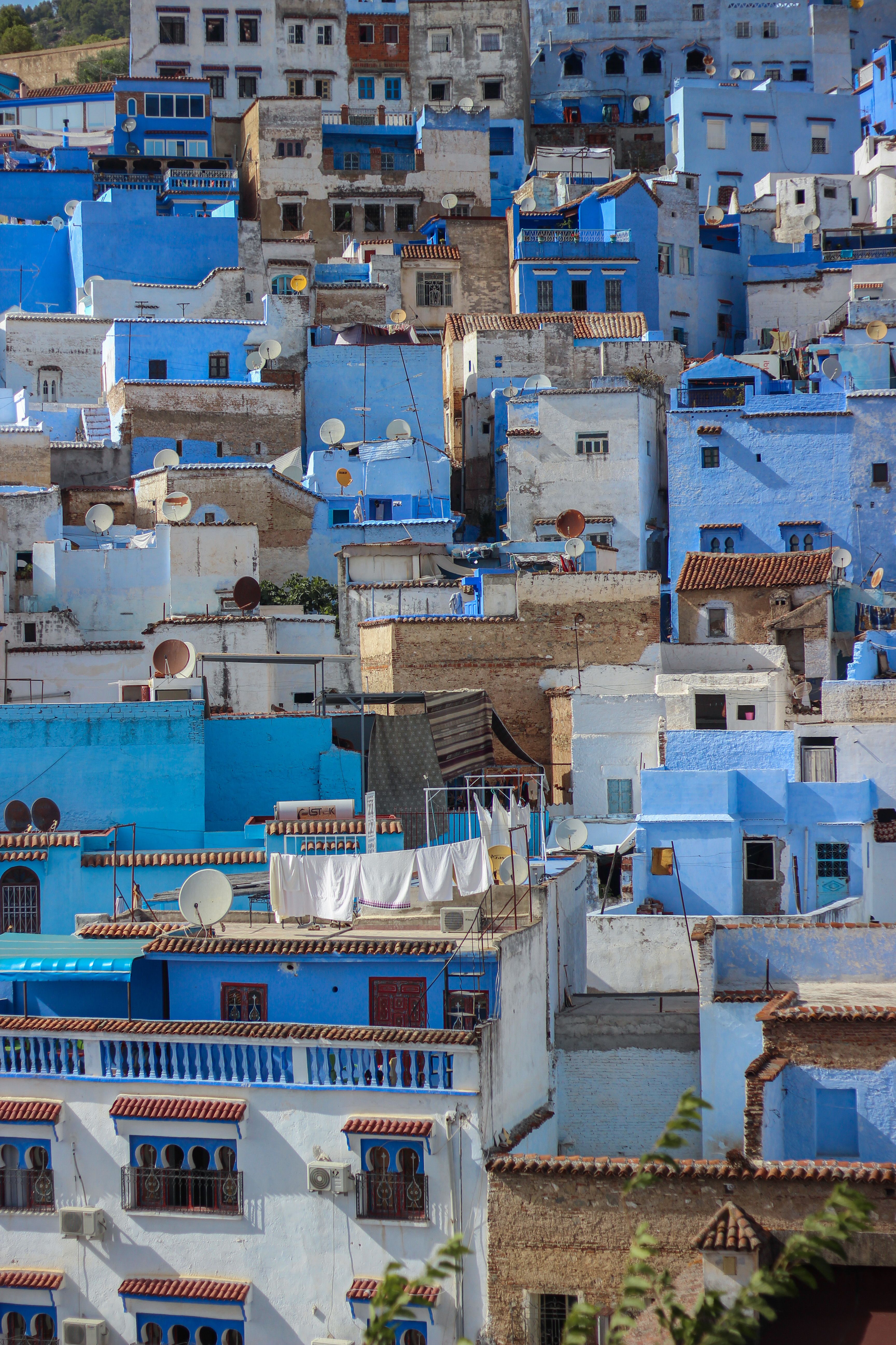Vibrant Blue Architecture in Chefchaouen, Morocco · Free Stock Photo