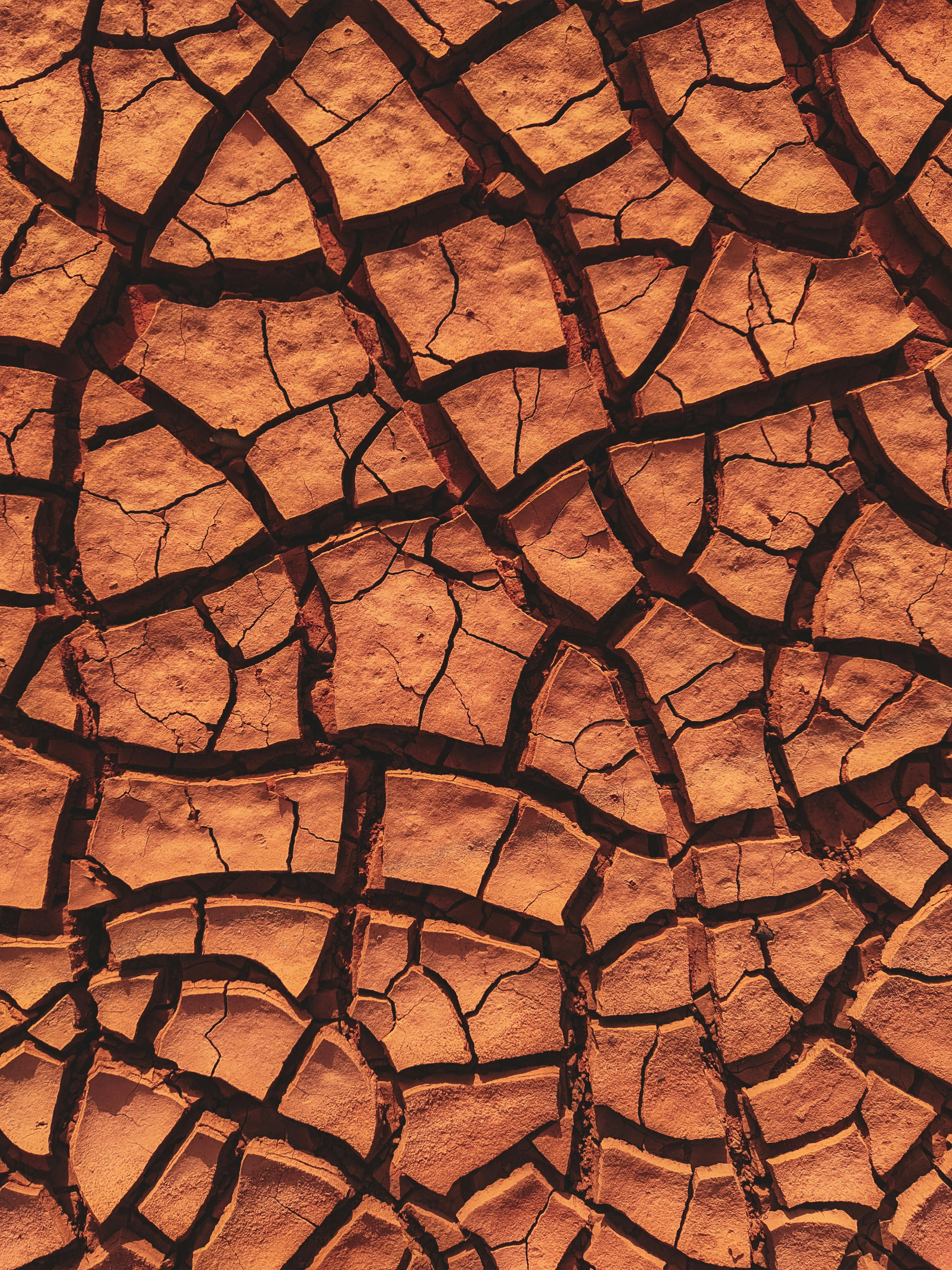 Cracked Earth Pattern, Drought Concept Image · Free Stock Photo