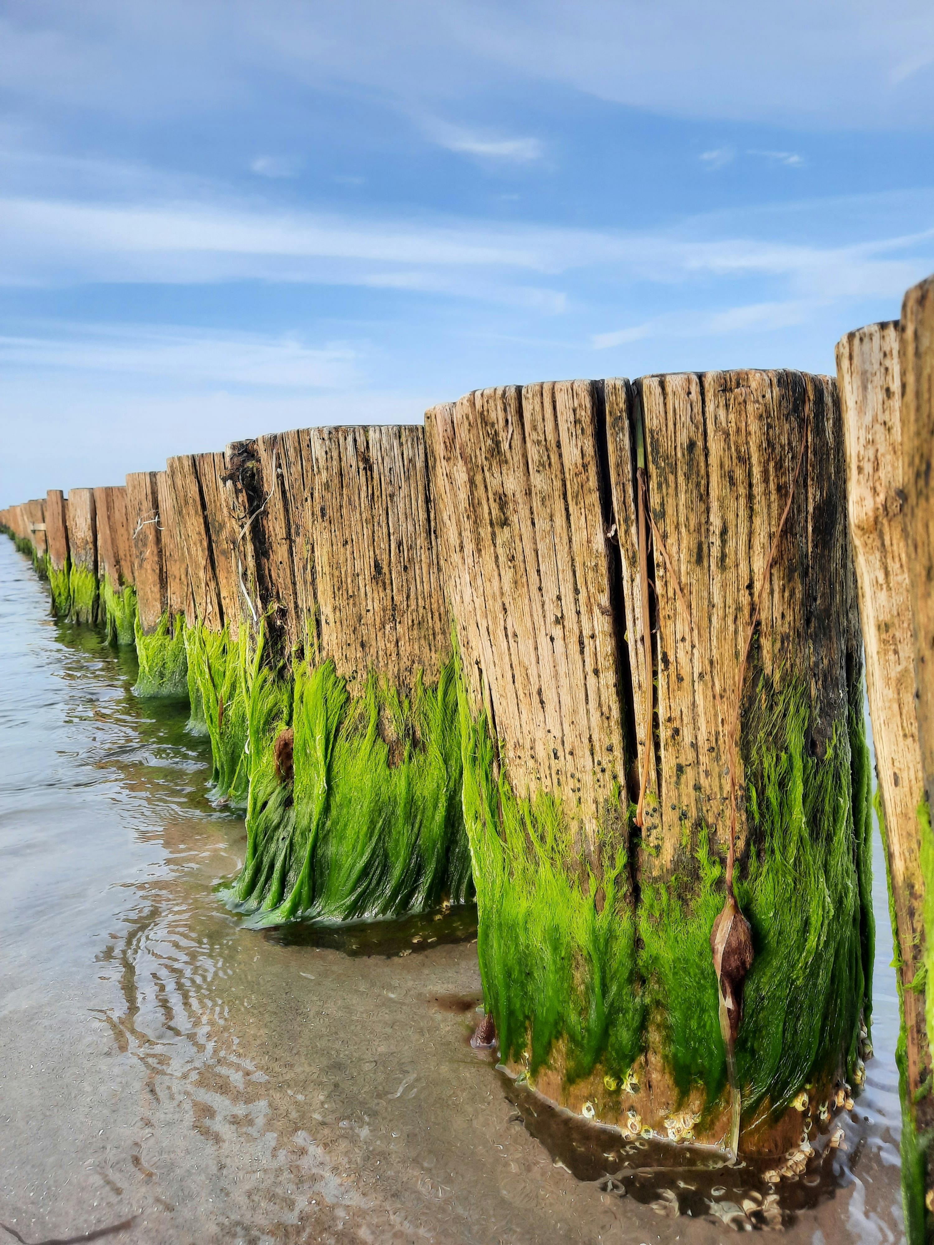 Stuck At Border Photos, Download The BEST Free Stuck At Border Stock ...