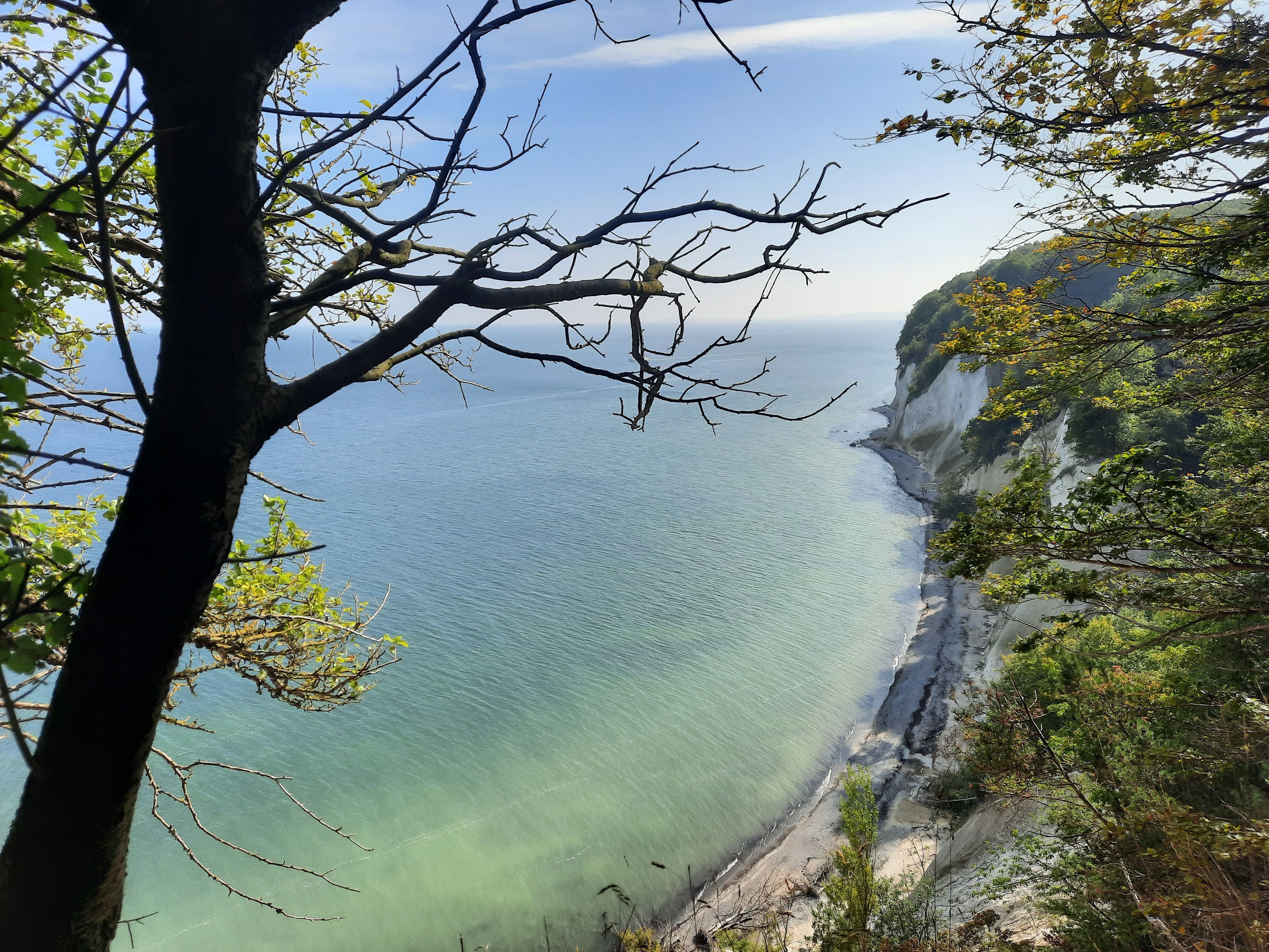 Scenic View of Cliffs Overlooking Ocean Coastline · Free Stock Photo