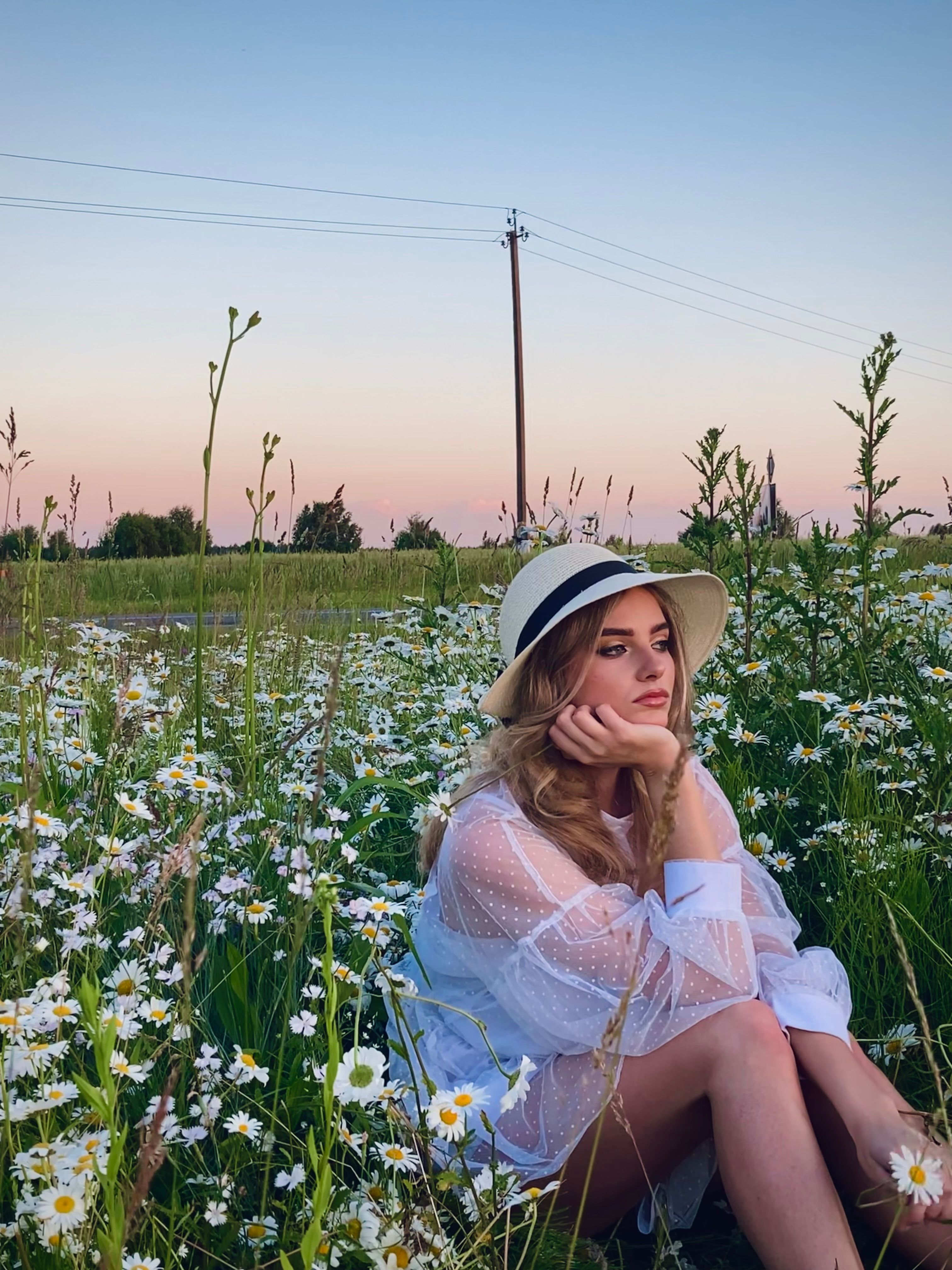Young Woman Sitting in a Daisy Field at Sunset · Free Stock Photo