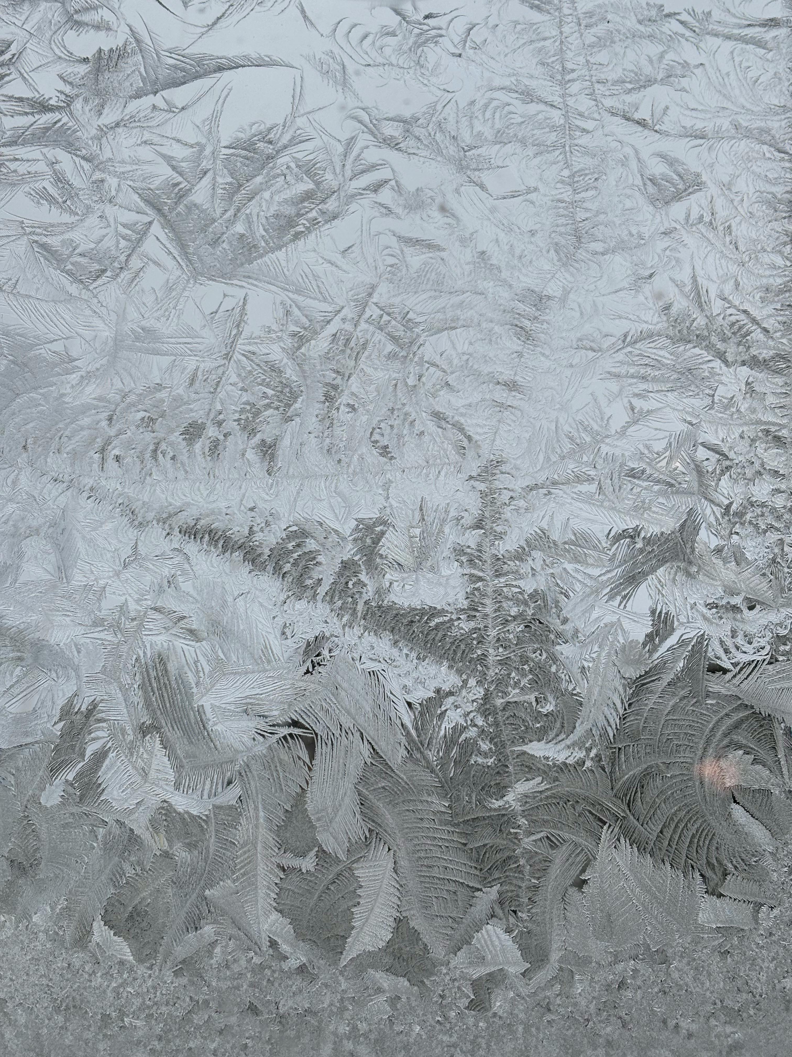 5,000+ Best Freez+karo Photos · 100% Free Download · Pexels Stock Photos